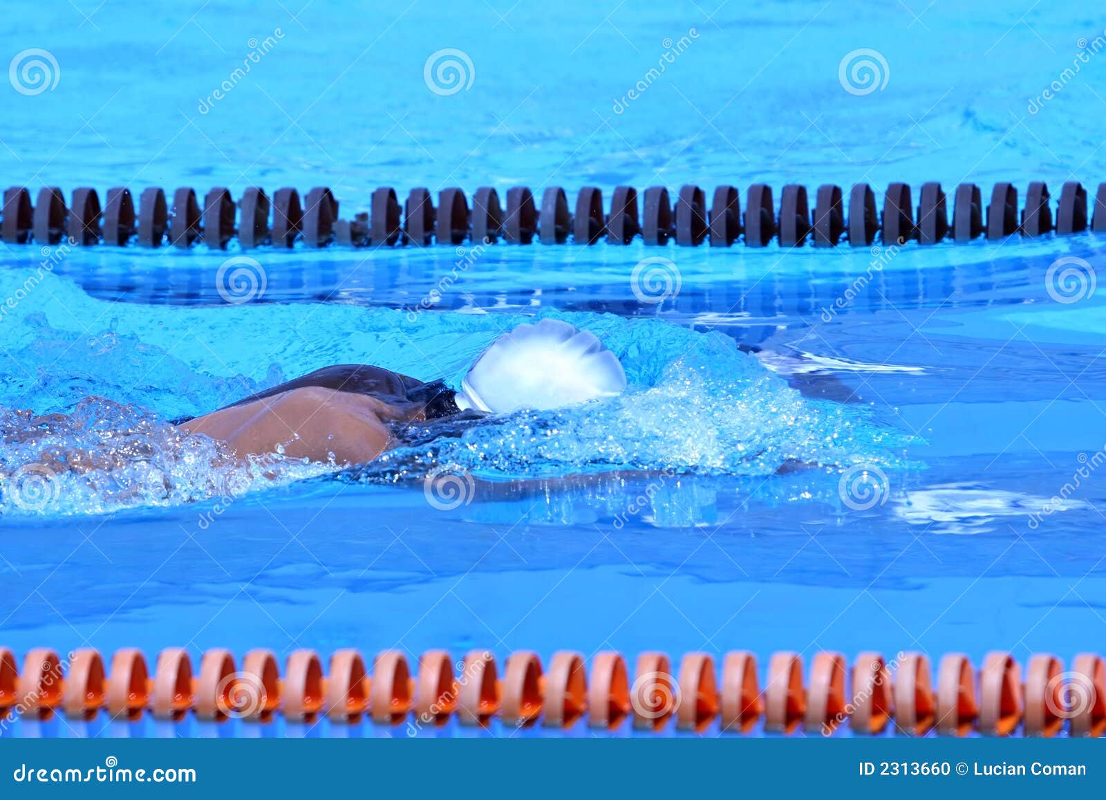 Swimmer stock photo. Image of action, blue, contest, water - 2313660