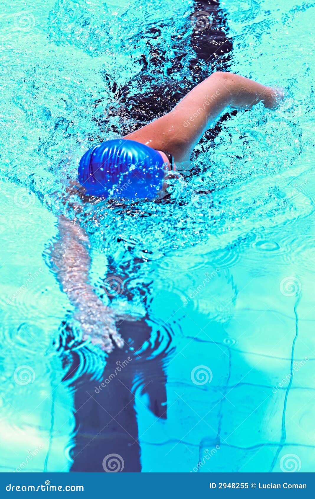 Swimmer stock image. Image of liquid, person, olympic - 2948255