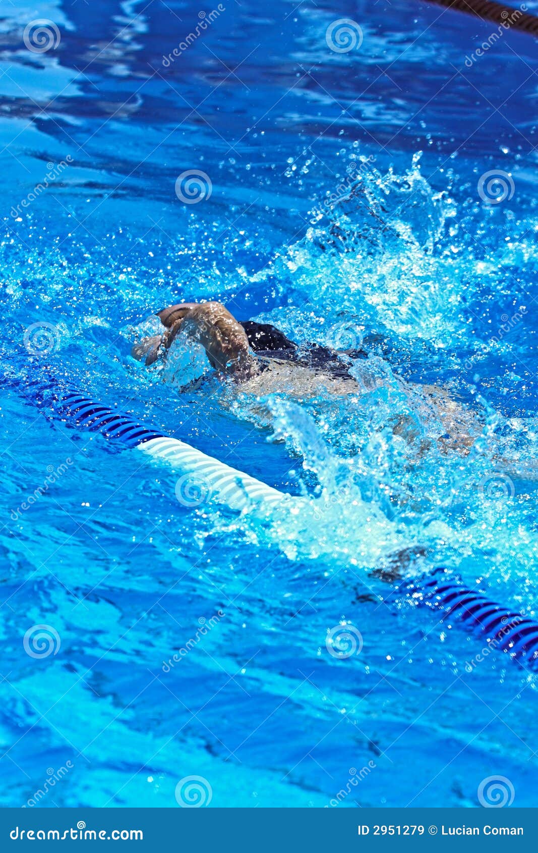 Swimmer stock image. Image of lane, ripples, reflection - 2951279