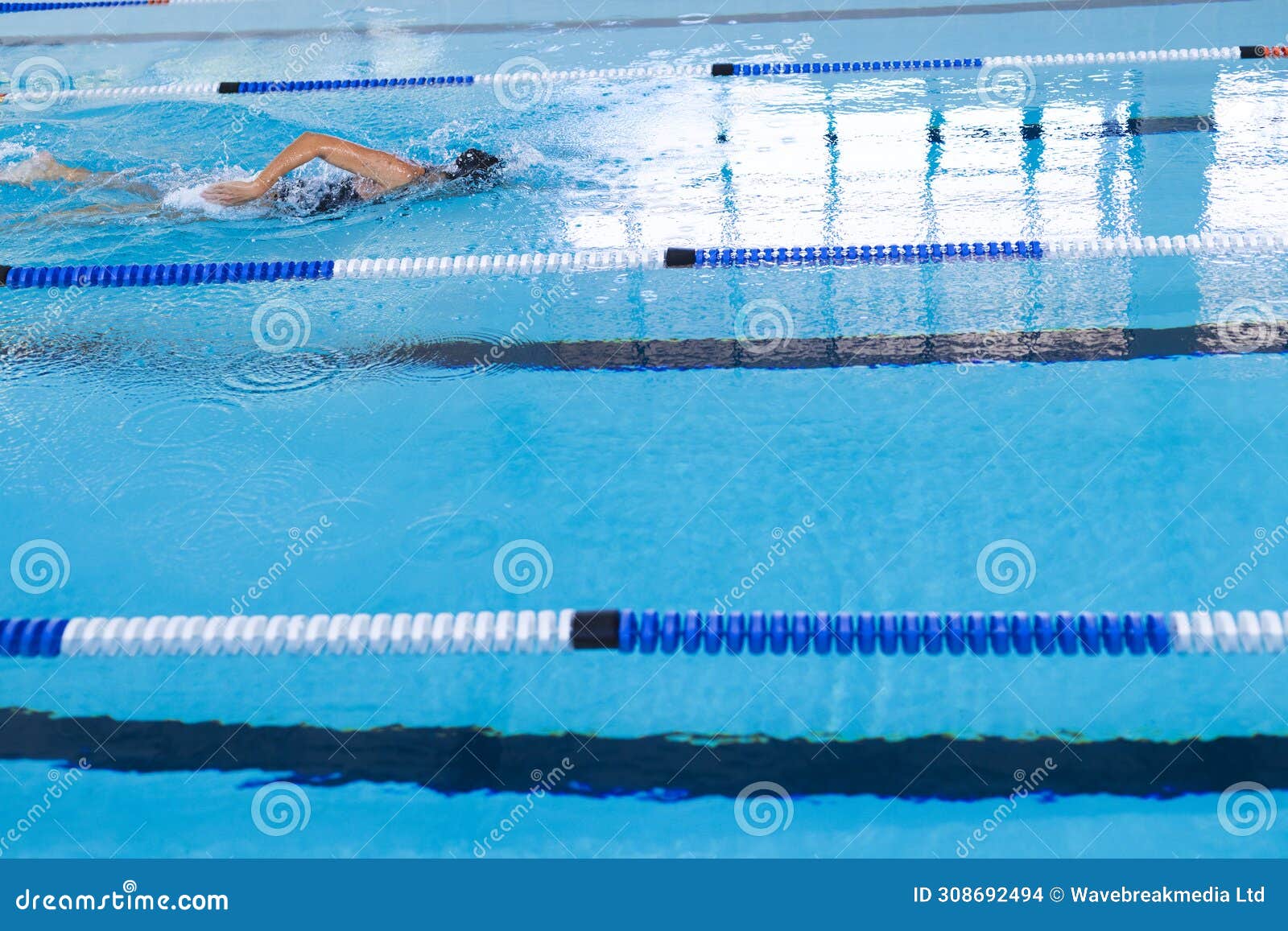 Swimmer in Action at a Pool Competition, with Copy Space Stock Photo ...