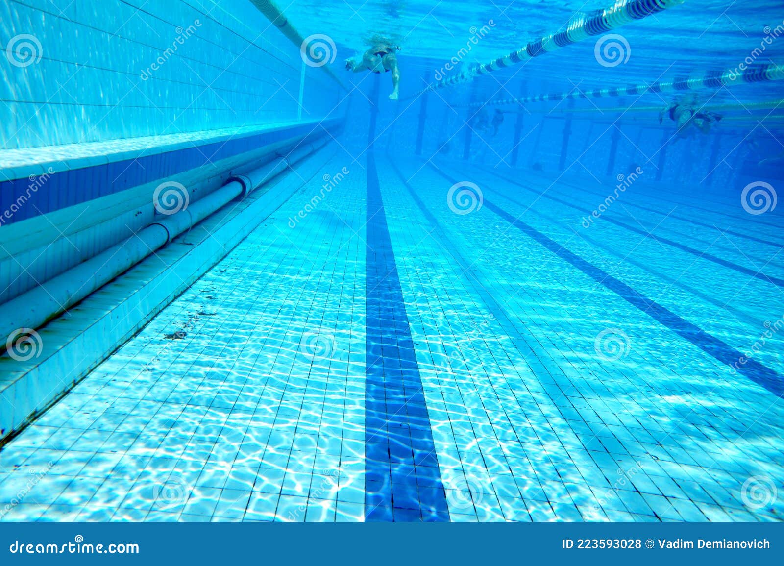 Swimmer in the Big Swimming Pool Stock Photo - Image of hand, style ...