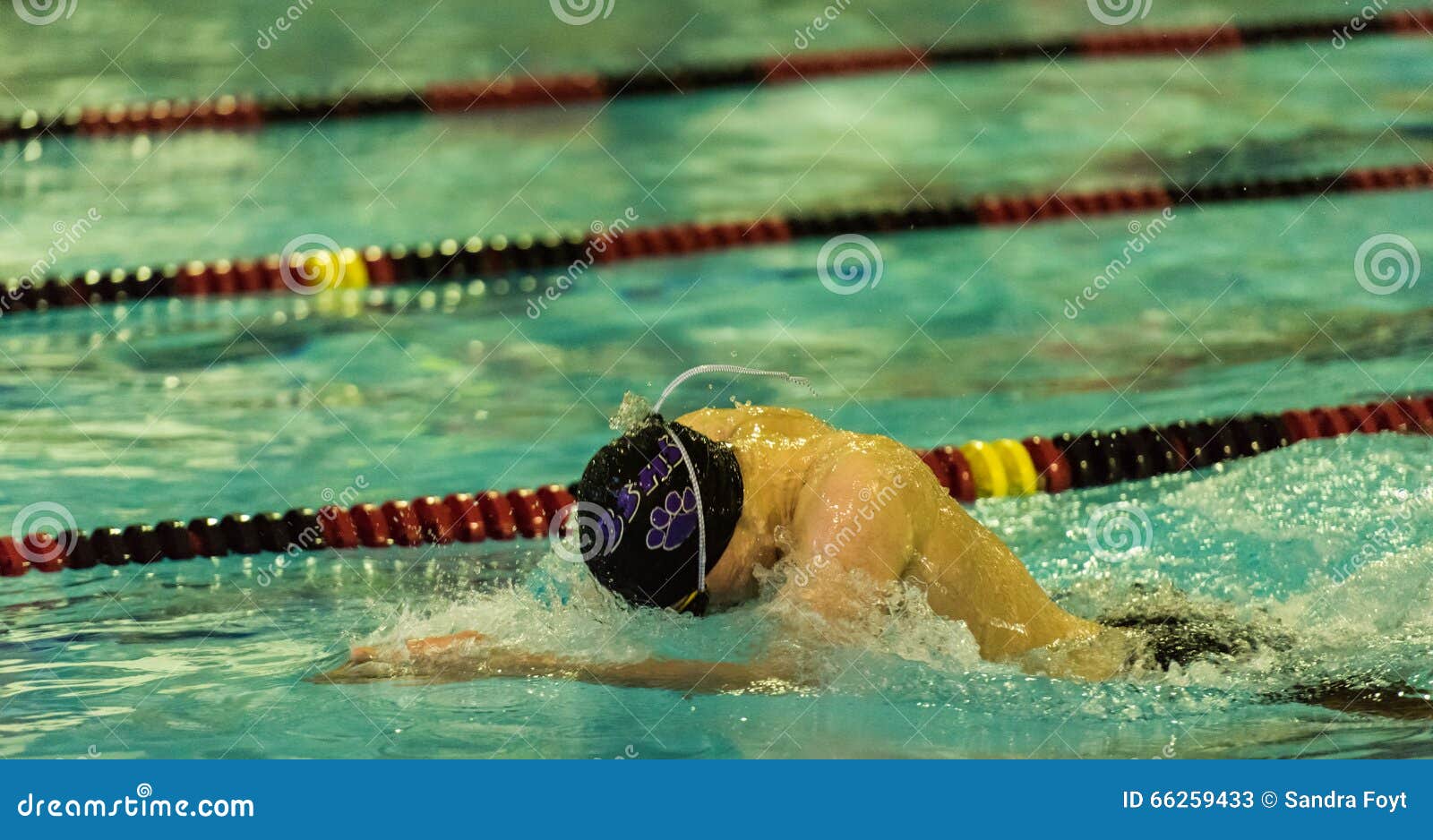 Swimmer Competes in Freestyle Editorial Stock Photo - Image of ...