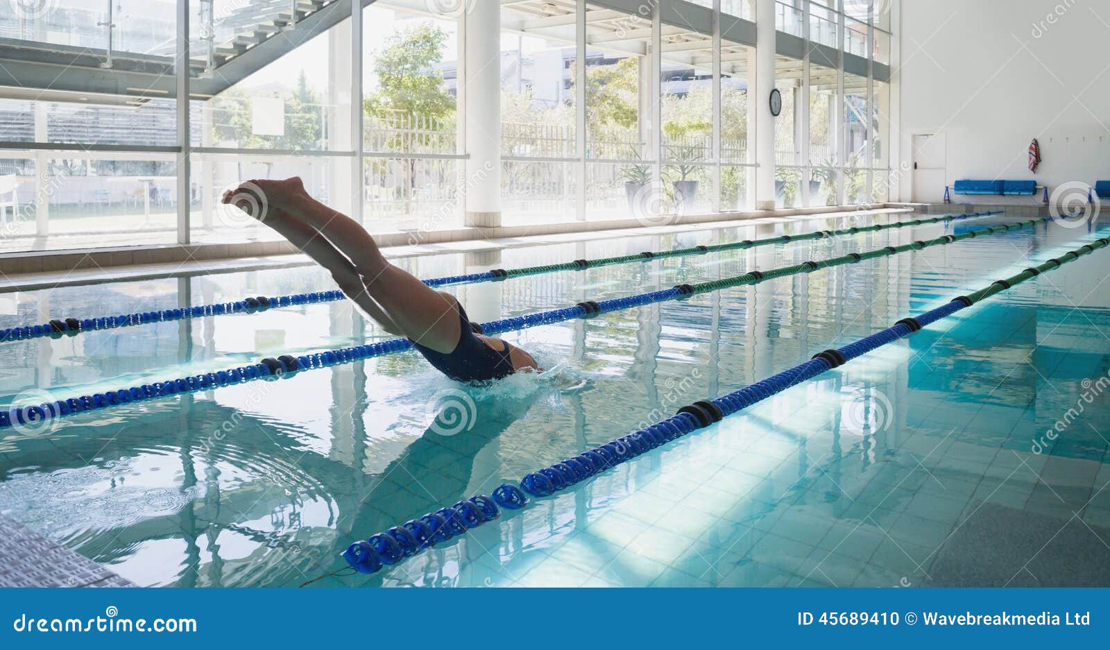 Swimmer Diving into the Pool at Leisure Center Stock Photo - Image of ...
