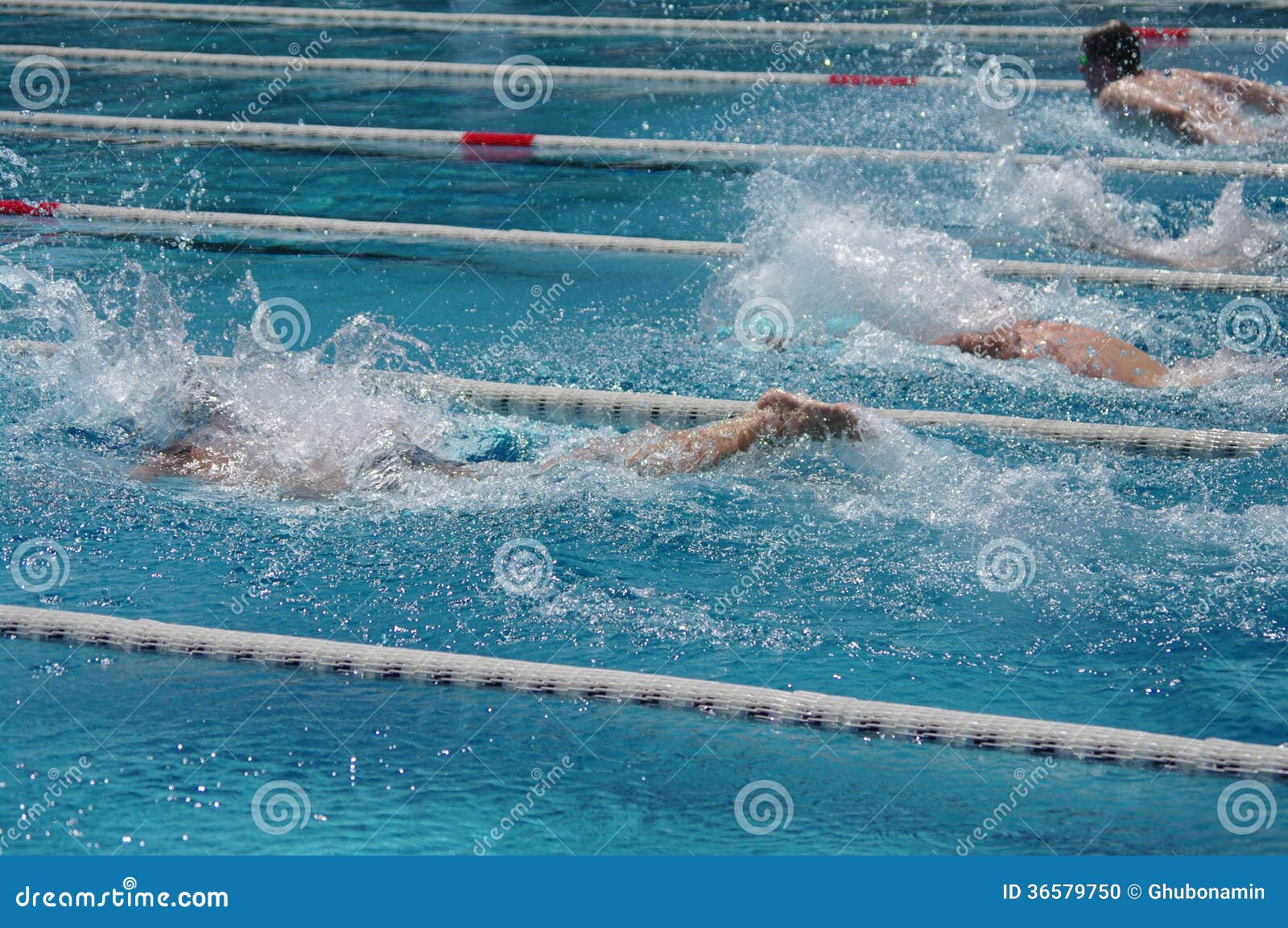 Swimmer stock photo. Image of dive, contest, freestyle - 36579750