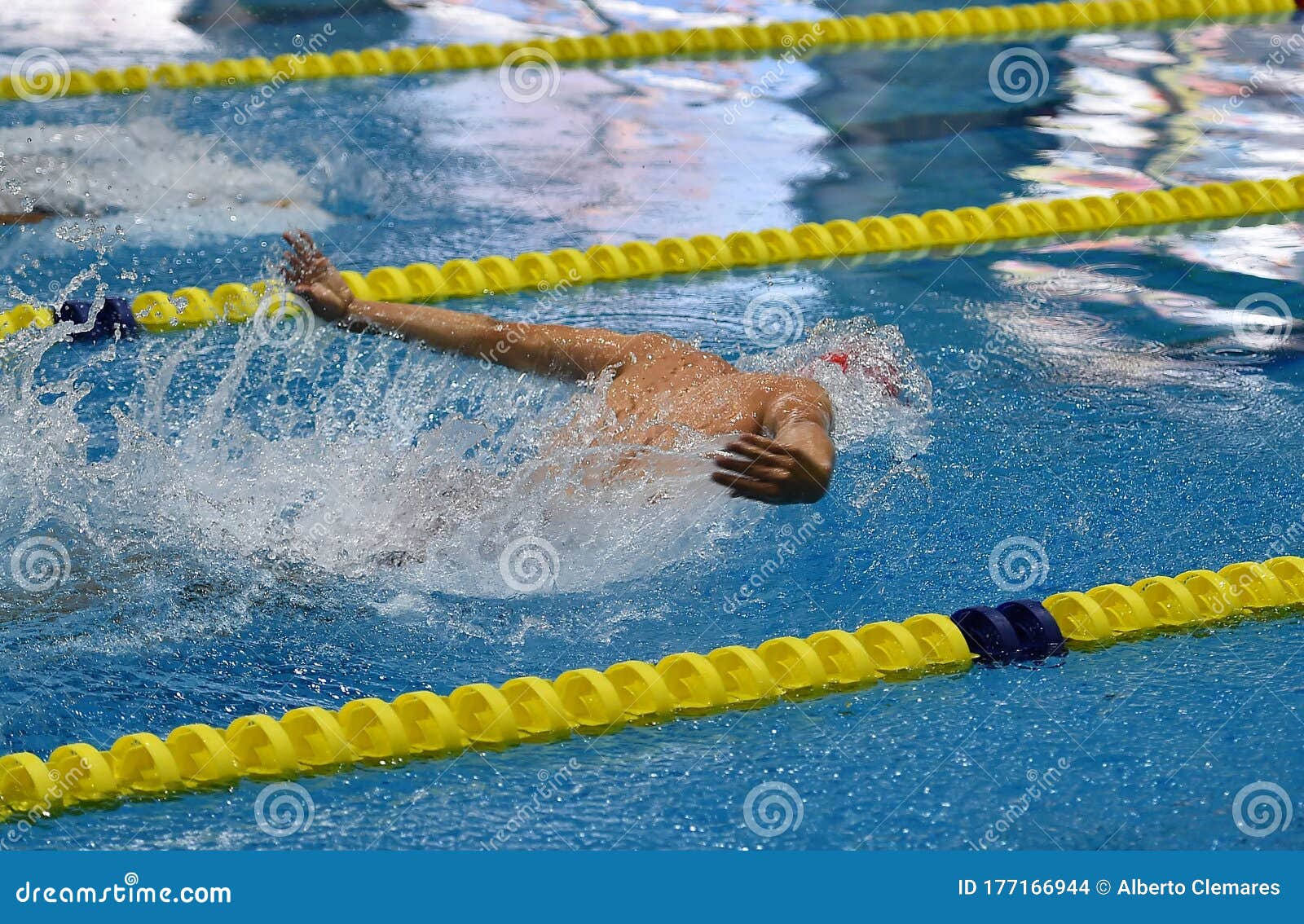 Swimmer in a outdoor pool editorial stock image. Image of outdoor ...