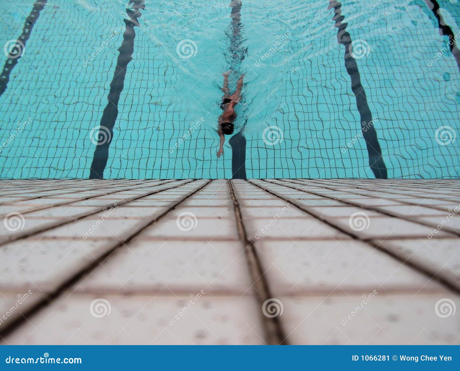 Swimmer reaching for wall stock image. Image of achievement - 1066281
