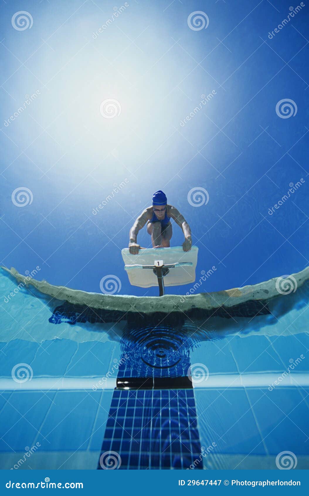 Swimmer Ready To Dive in Water Stock Image - Image of athletic ...
