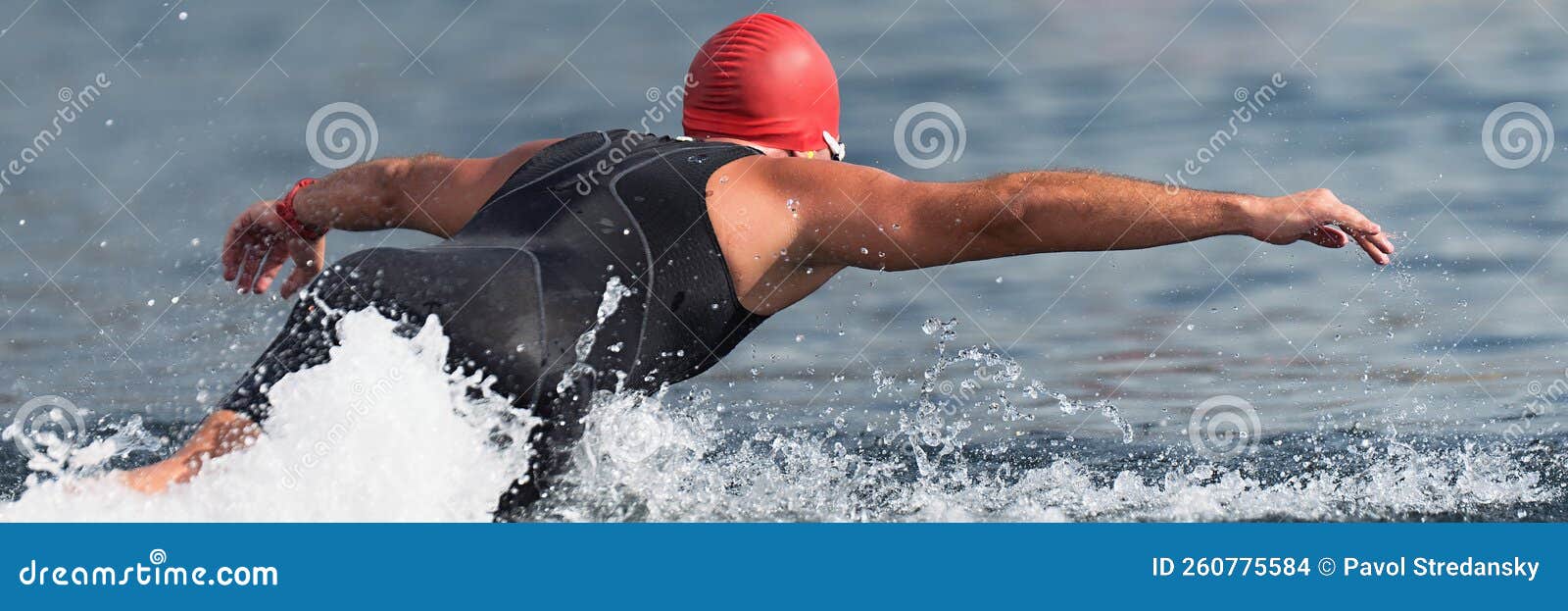 Swimmer at the start stock photo. Image of elite, professional - 260775584