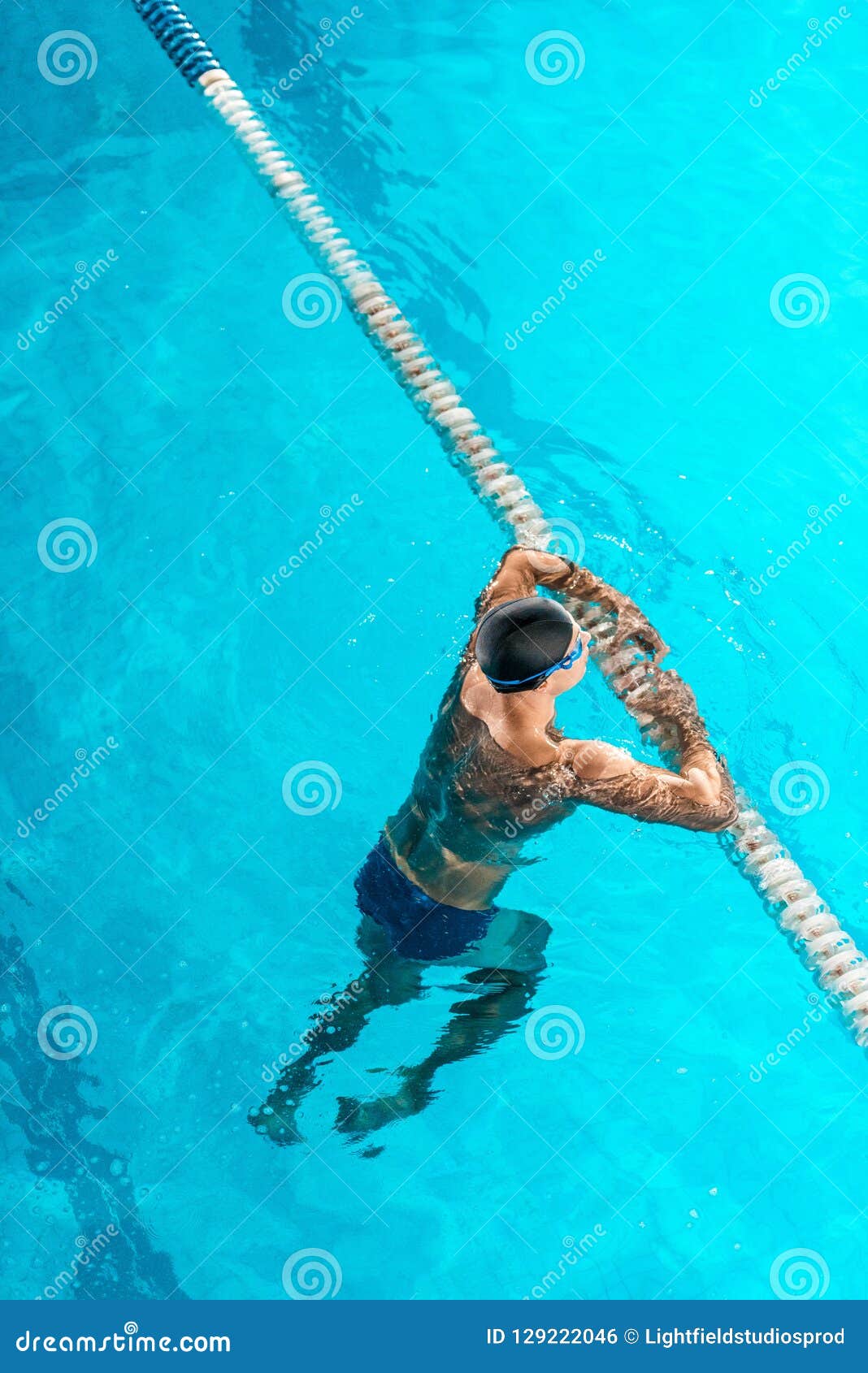 Overhead View of Swimmer in Competition Swimming Stock Photo - Image of ...