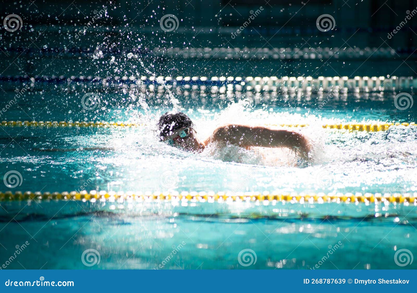 Swimmer Swims Freestyle in the Pool in Beautiful Sunlight Stock Image ...