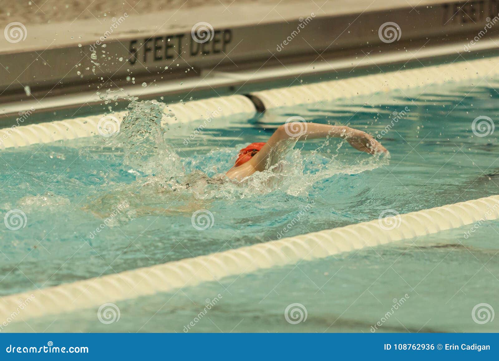 Freestyle Swim Stroke stock photo. Image of swimmer - 108762936