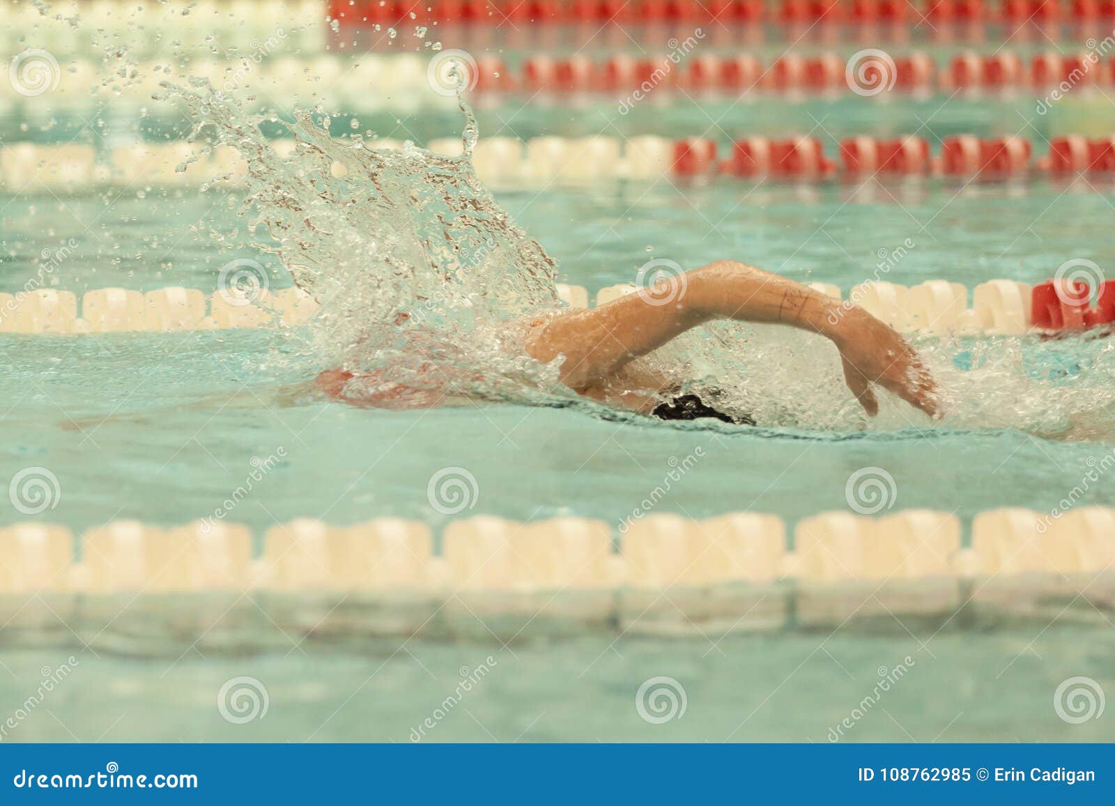 Freestyle Swim Stroke stock image. Image of motion, splash - 108762985