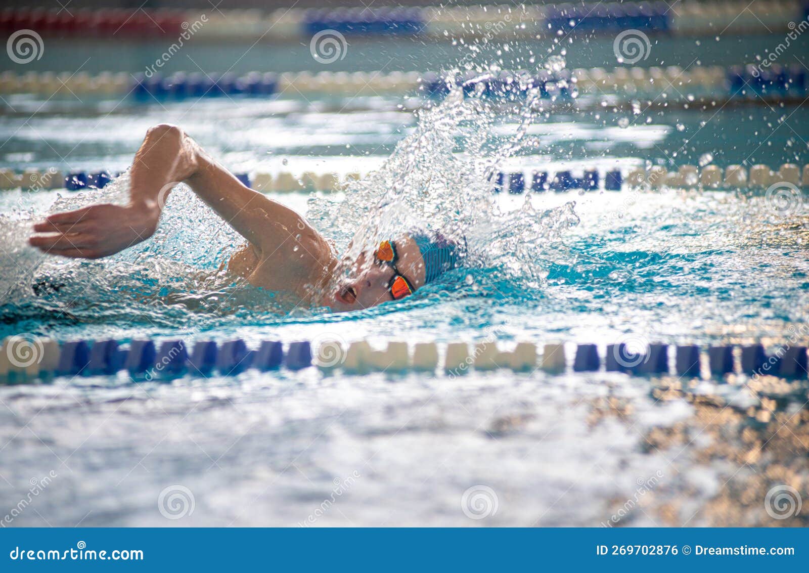 Swimmer Swims Freestyle Swimming Style in the Pool Stock Photo - Image ...