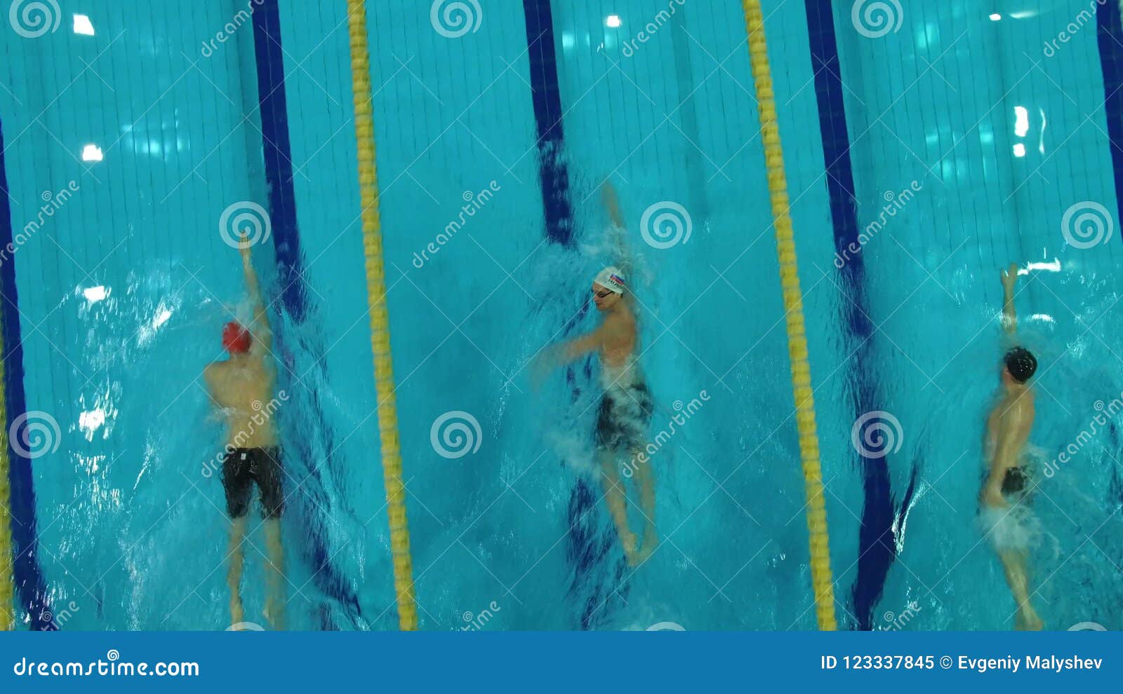 Swimmers Compete in the Pool of Three Men Stock Video - Video of ...