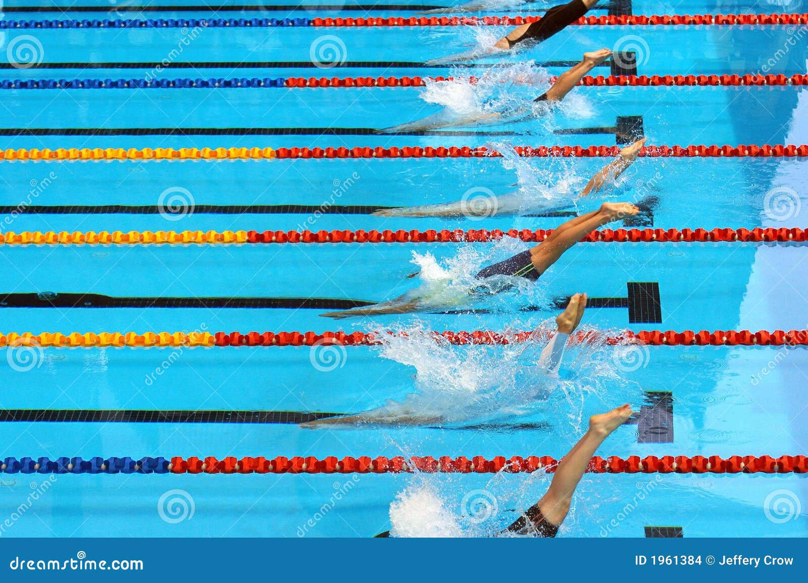 Swimmers dive in start stock photo. Image of women, swimming - 1961384