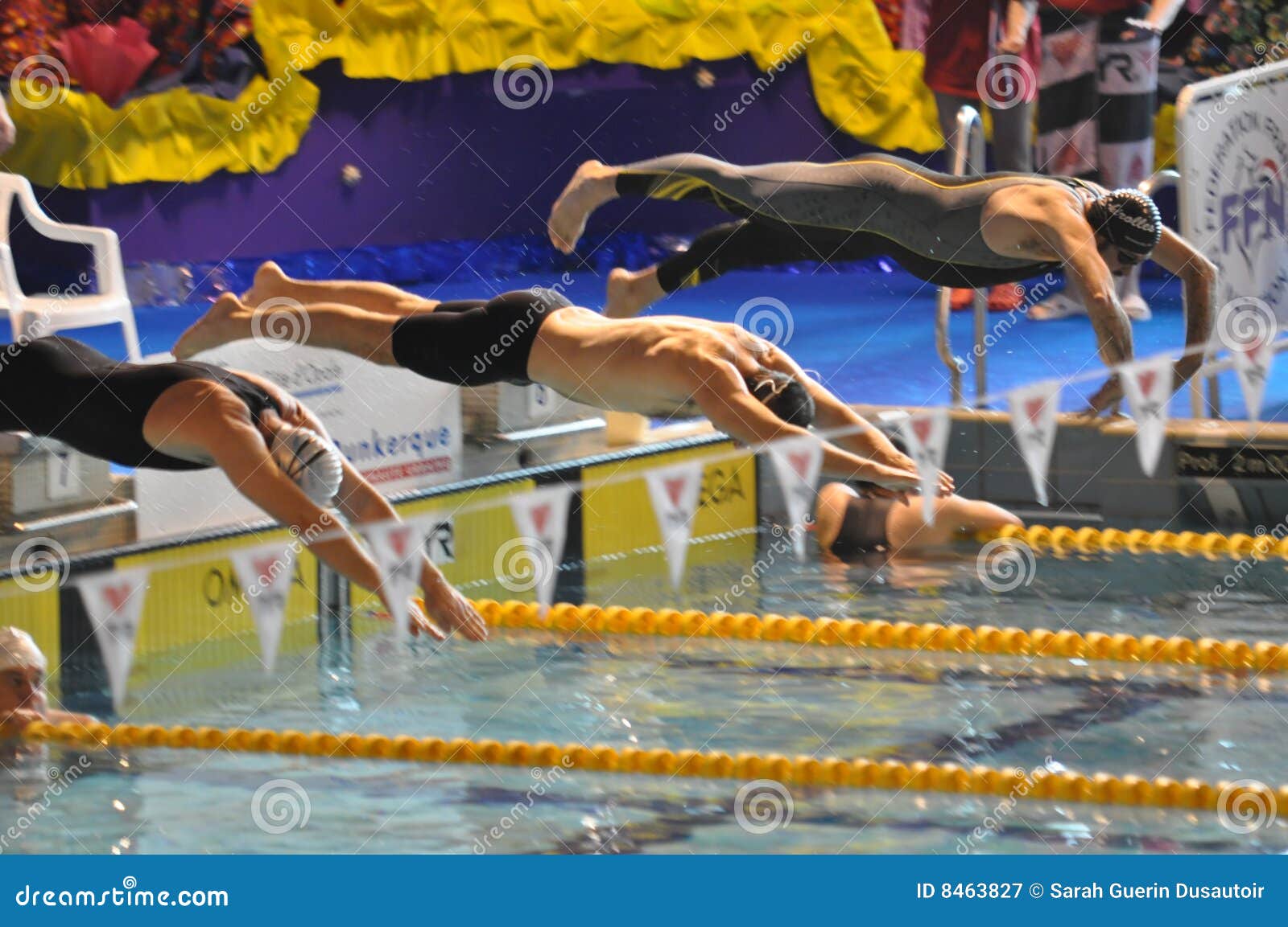 Swimmers Diving into Swimming Pool Editorial Photography - Image of ...