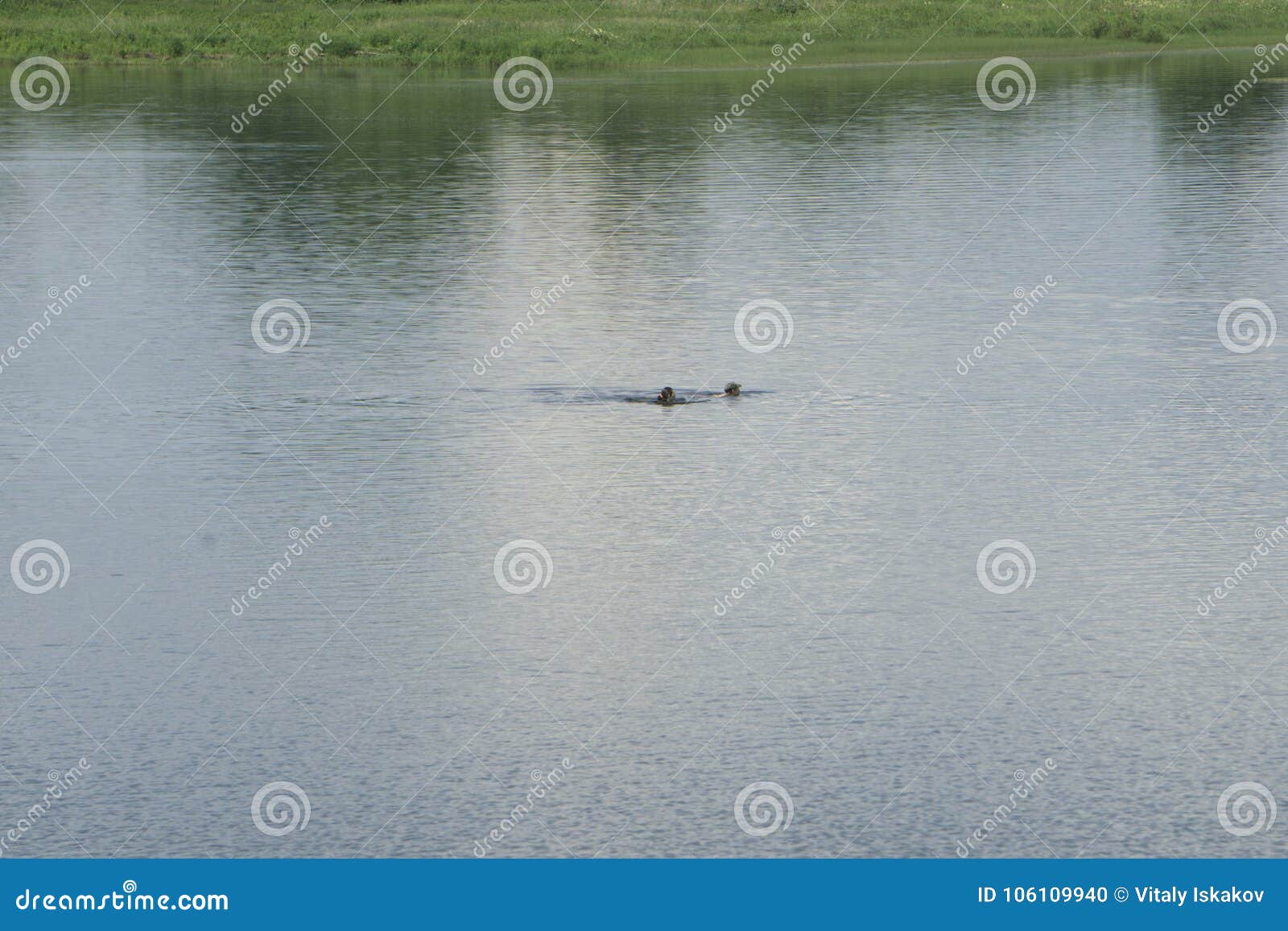 Swimmers Far Away from Shore Editorial Image - Image of stones ...