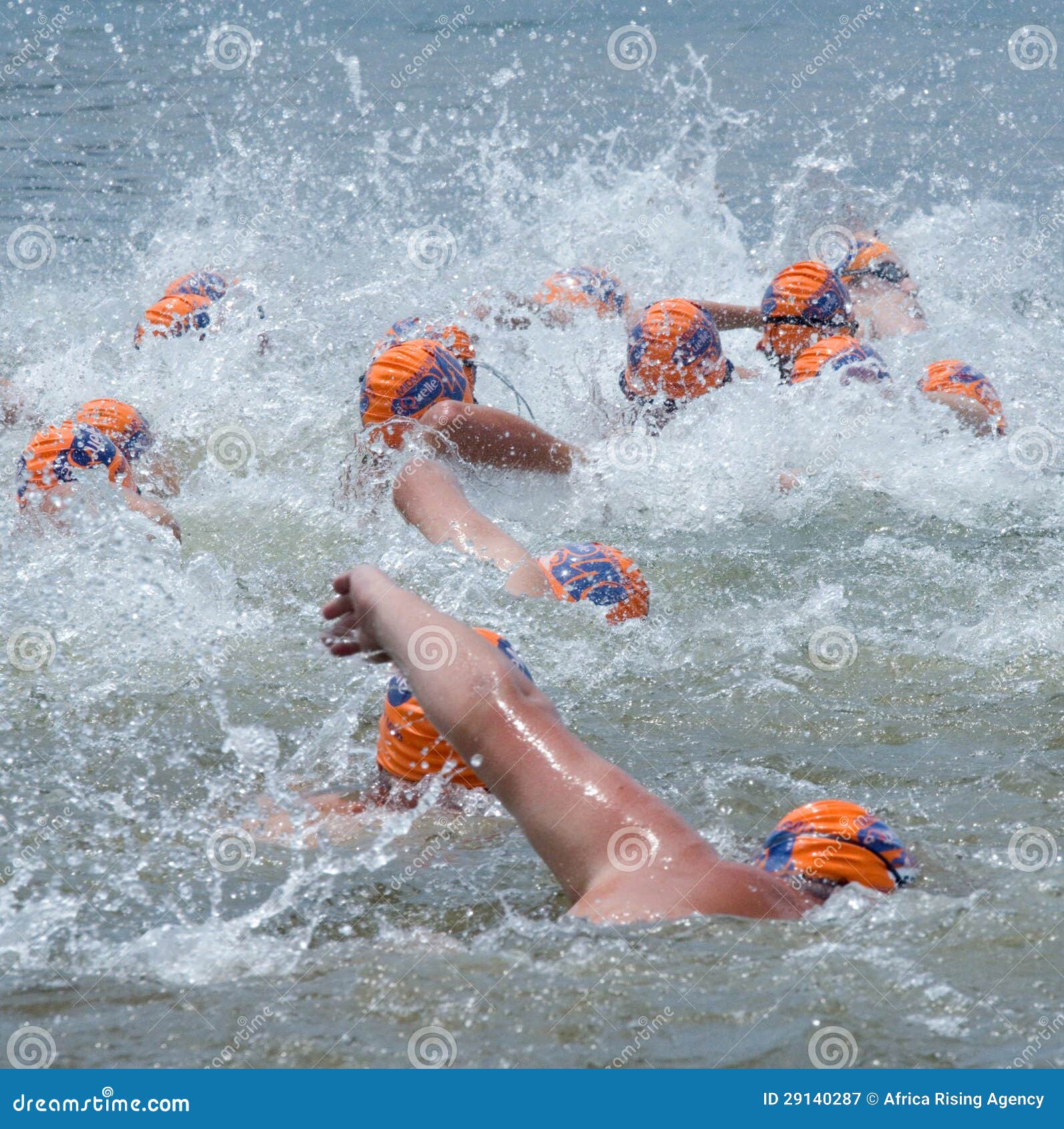 Swimmers in Midmar Mile Event Editorial Photography - Image of mile ...