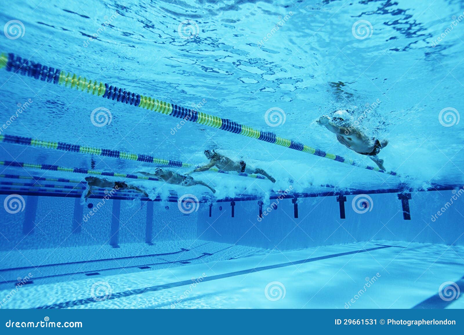 Swimmers Racing in Pool stock image. Image of person - 29661531