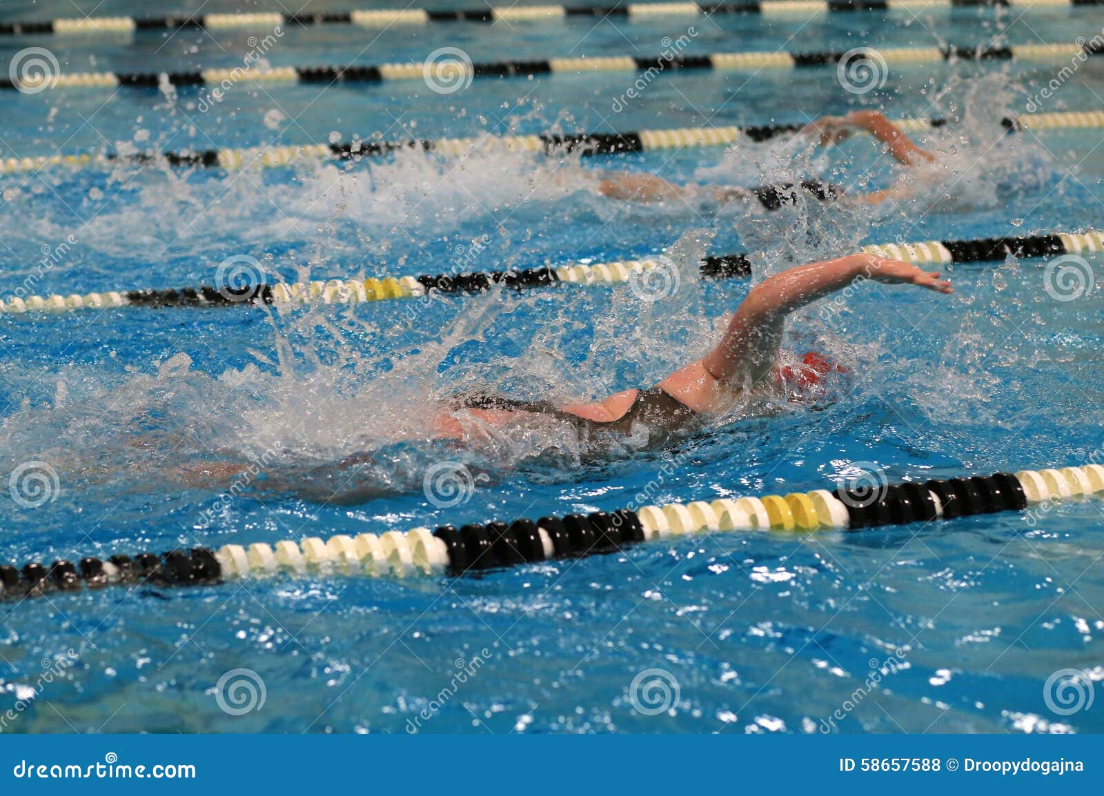 Swimmers Racing in the Pool Editorial Stock Photo - Image of event ...