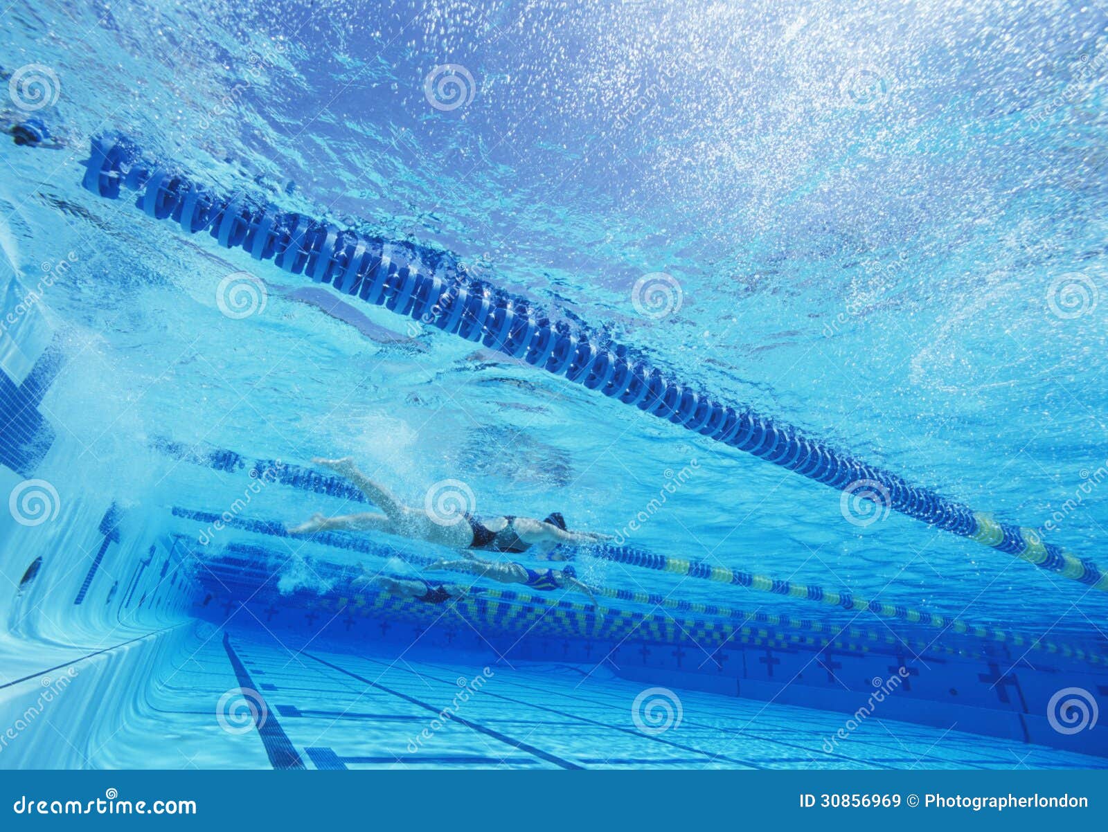 Swimmers Racing Together in Swimming Pool Stock Image - Image of lane ...