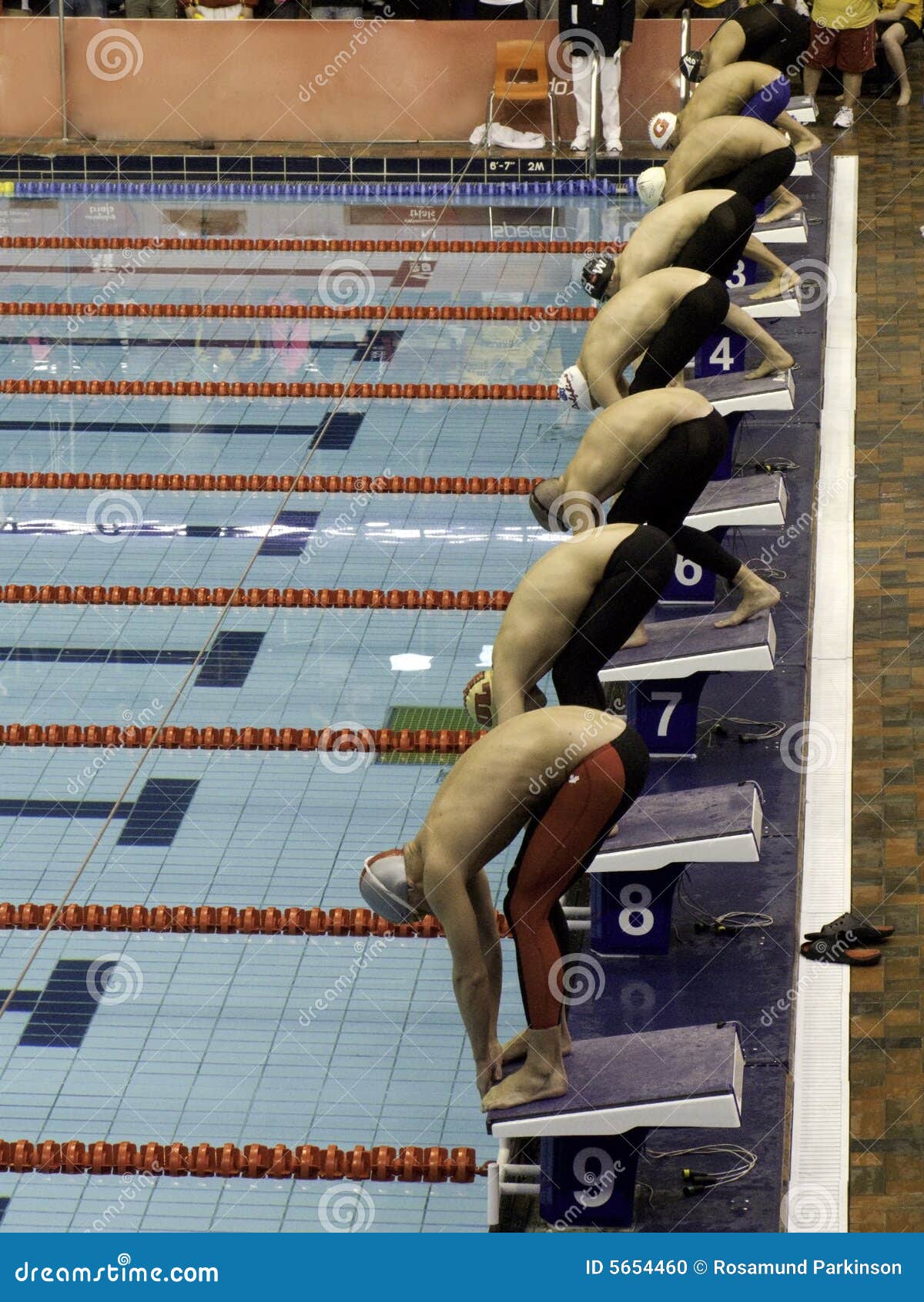 Swimmers ready to compete stock photo. Image of water - 5654460
