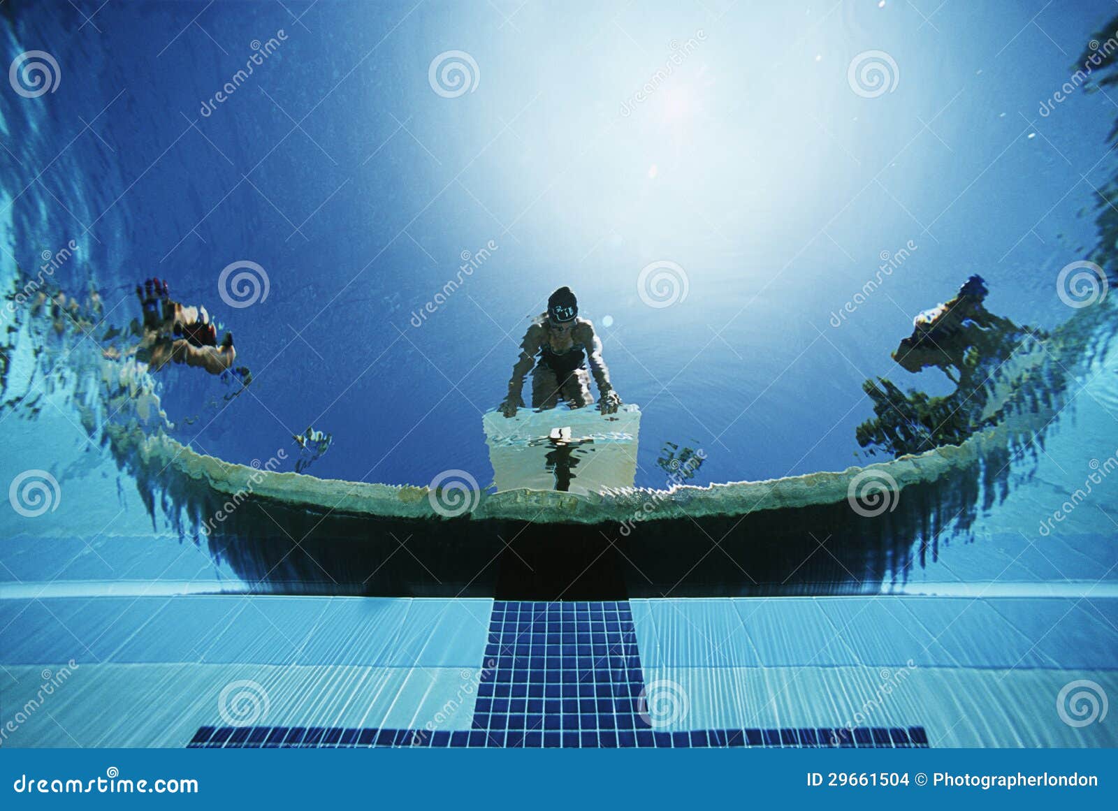 Swimmers Ready To Dive in Pool Stock Photo - Image of athletic, game ...