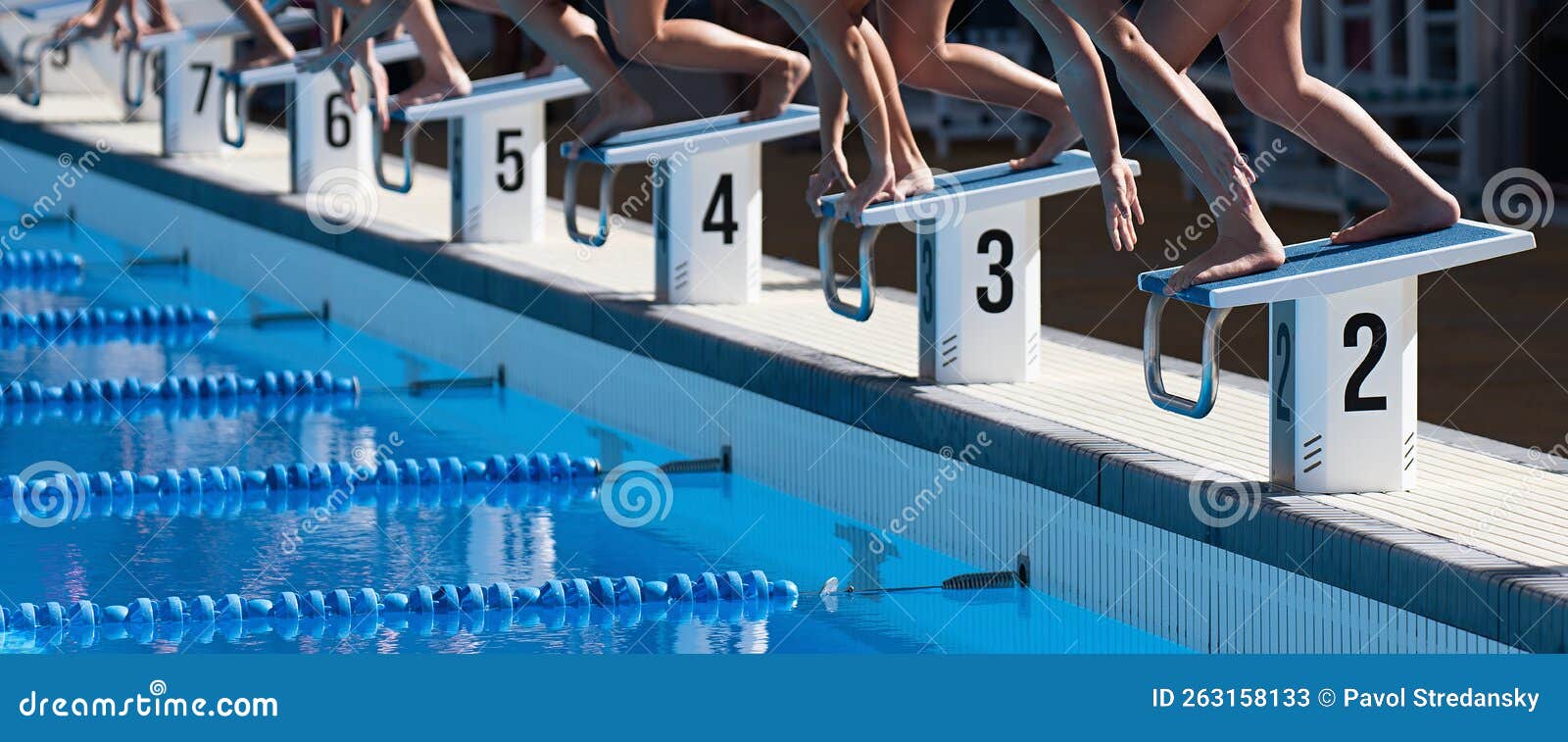 Swimmers on the Starting Block Stock Image - Image of sport, people ...