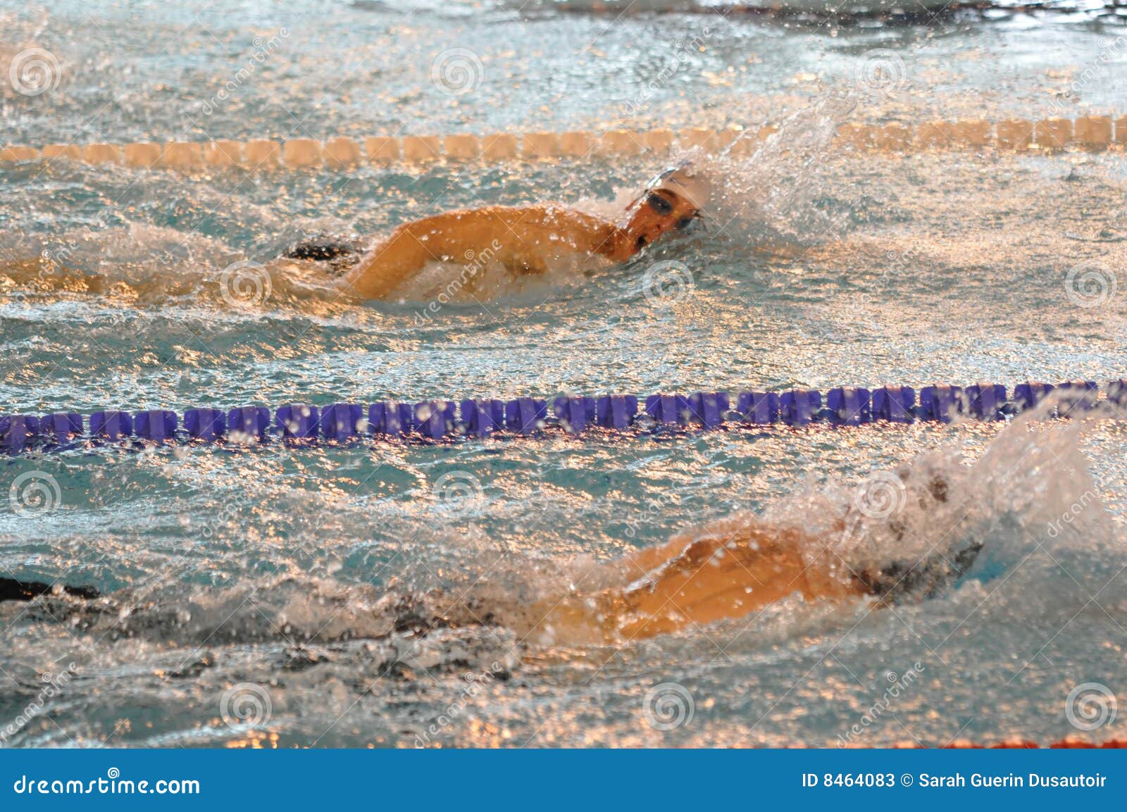 Swimmers Swimming Front Crawl Editorial Stock Photo - Image of goggles ...