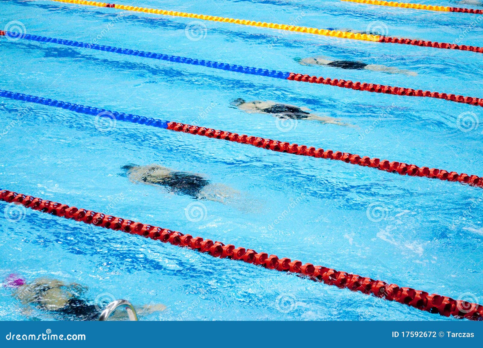 Swimmers Swimming in a Pool Stock Photo - Image of swimming, swimwear ...