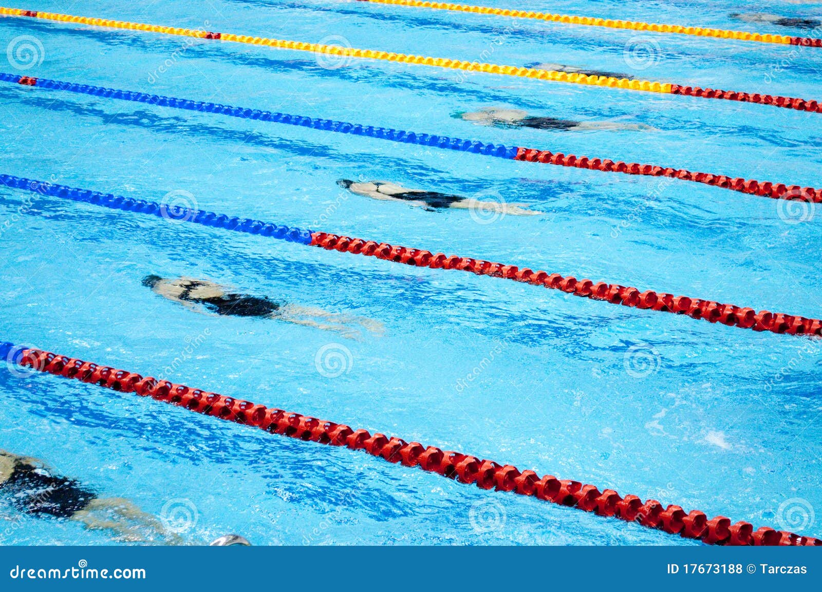 Swimmers Swimming in a Pool Stock Photo - Image of swimwear, power ...