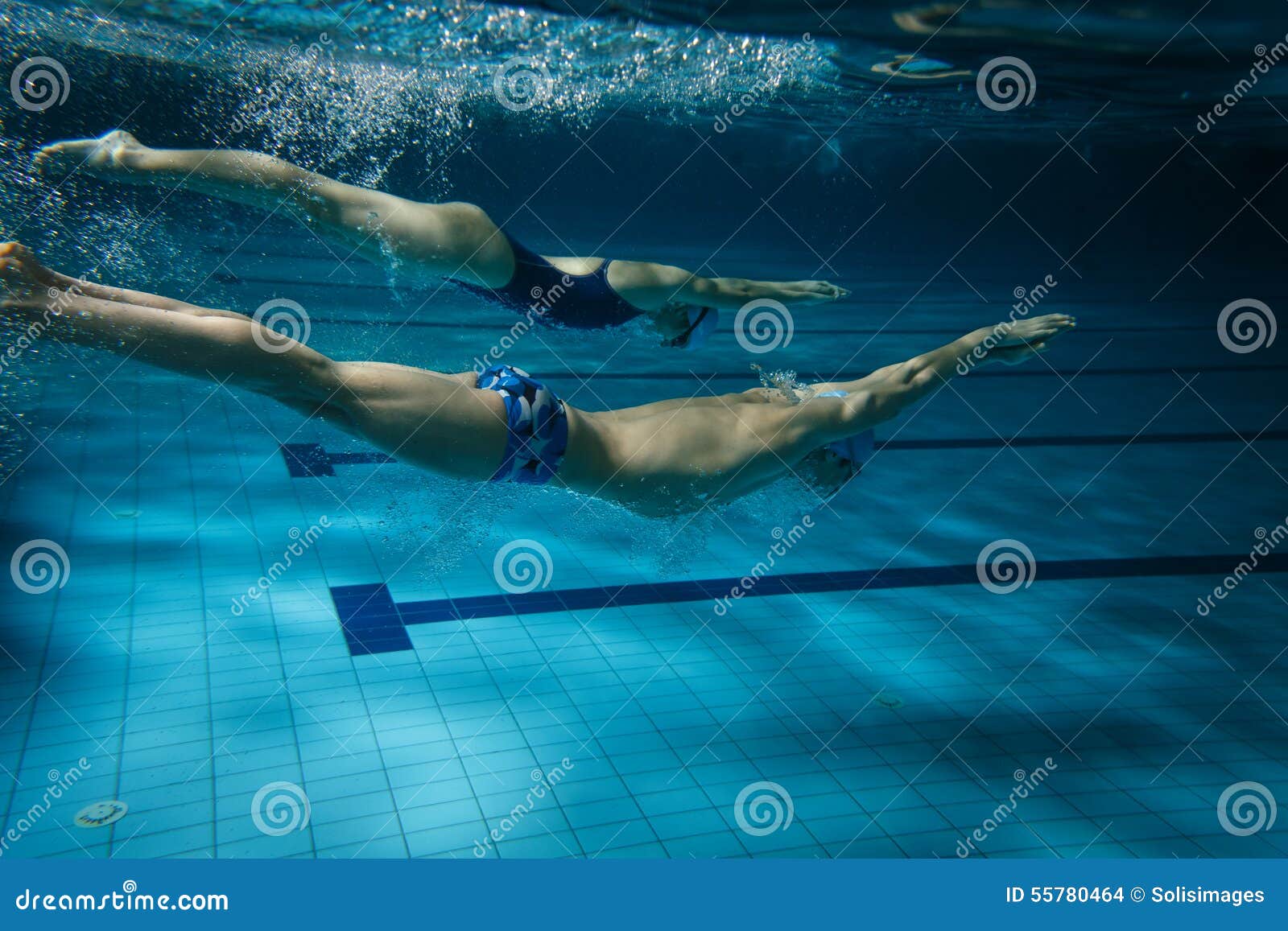 Swimmers stock photo. Image of pursuit, sportswoman, ready - 55780464