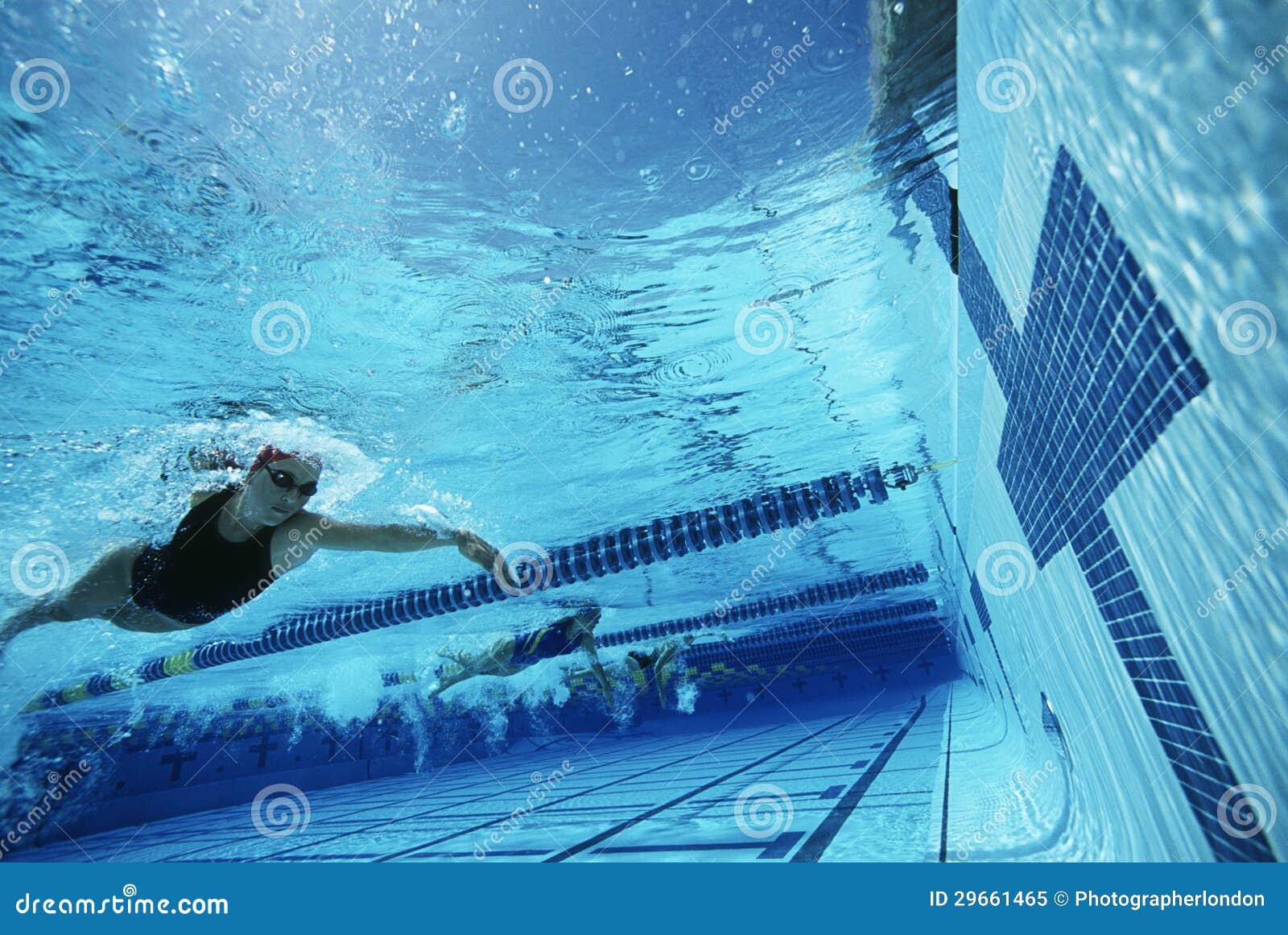 Swimmers about To Touch Finishing Line during a Race Stock Image ...