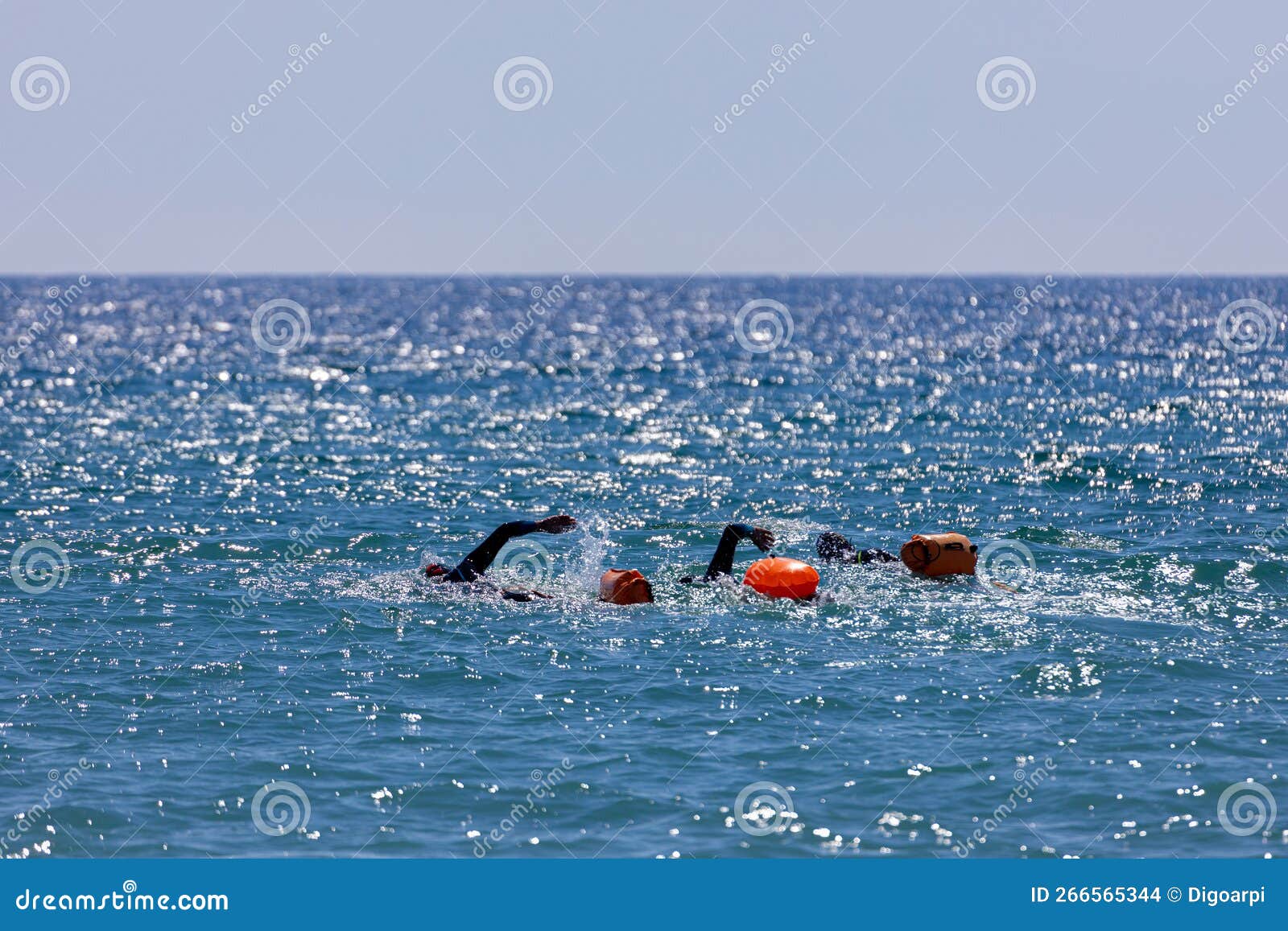 Swimmers Training on the Open Sea / Ocean Stock Photo - Image of ...