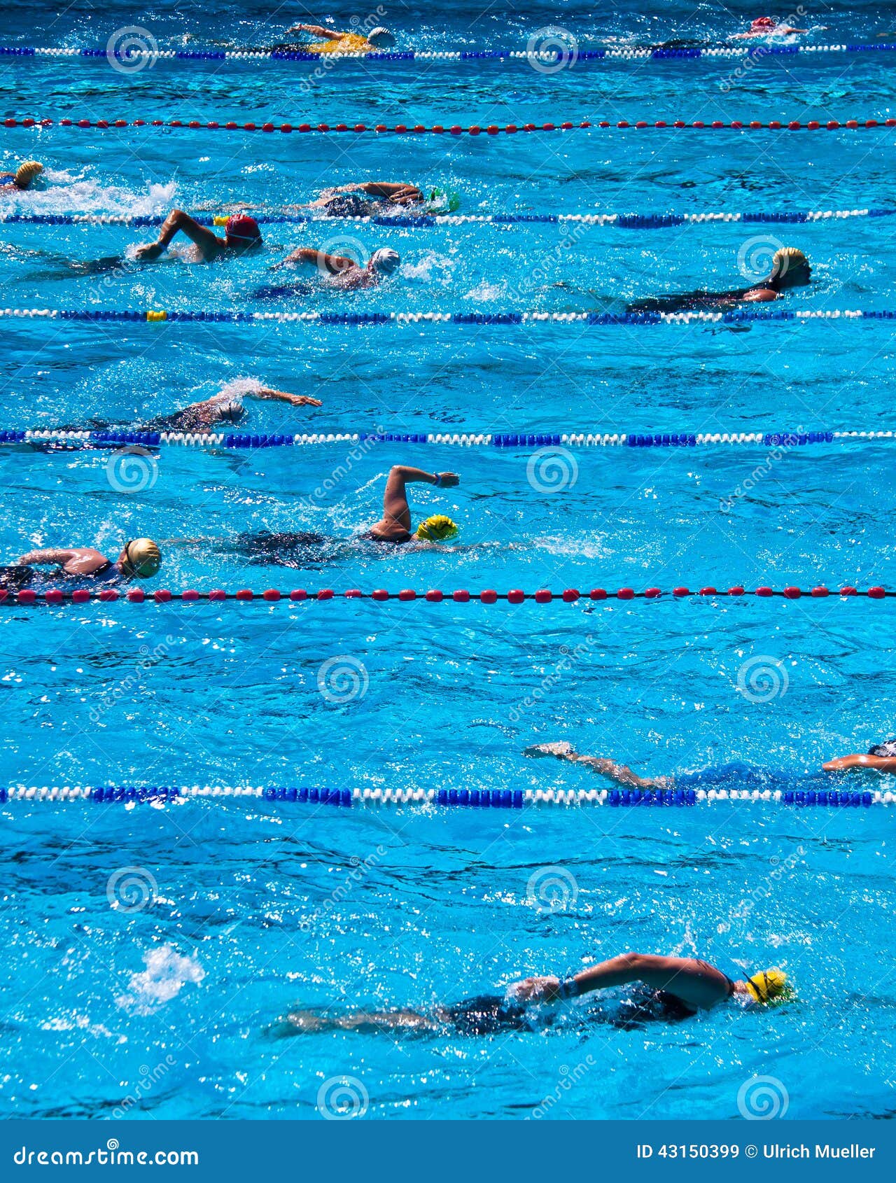 Swimmers during triathlon editorial stock image. Image of games - 43150399