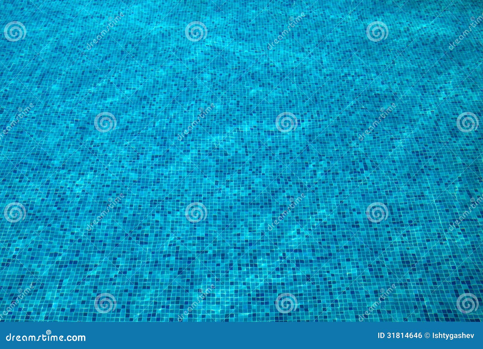Swimming pool stock photo. Image of green, lake, relax - 31814646