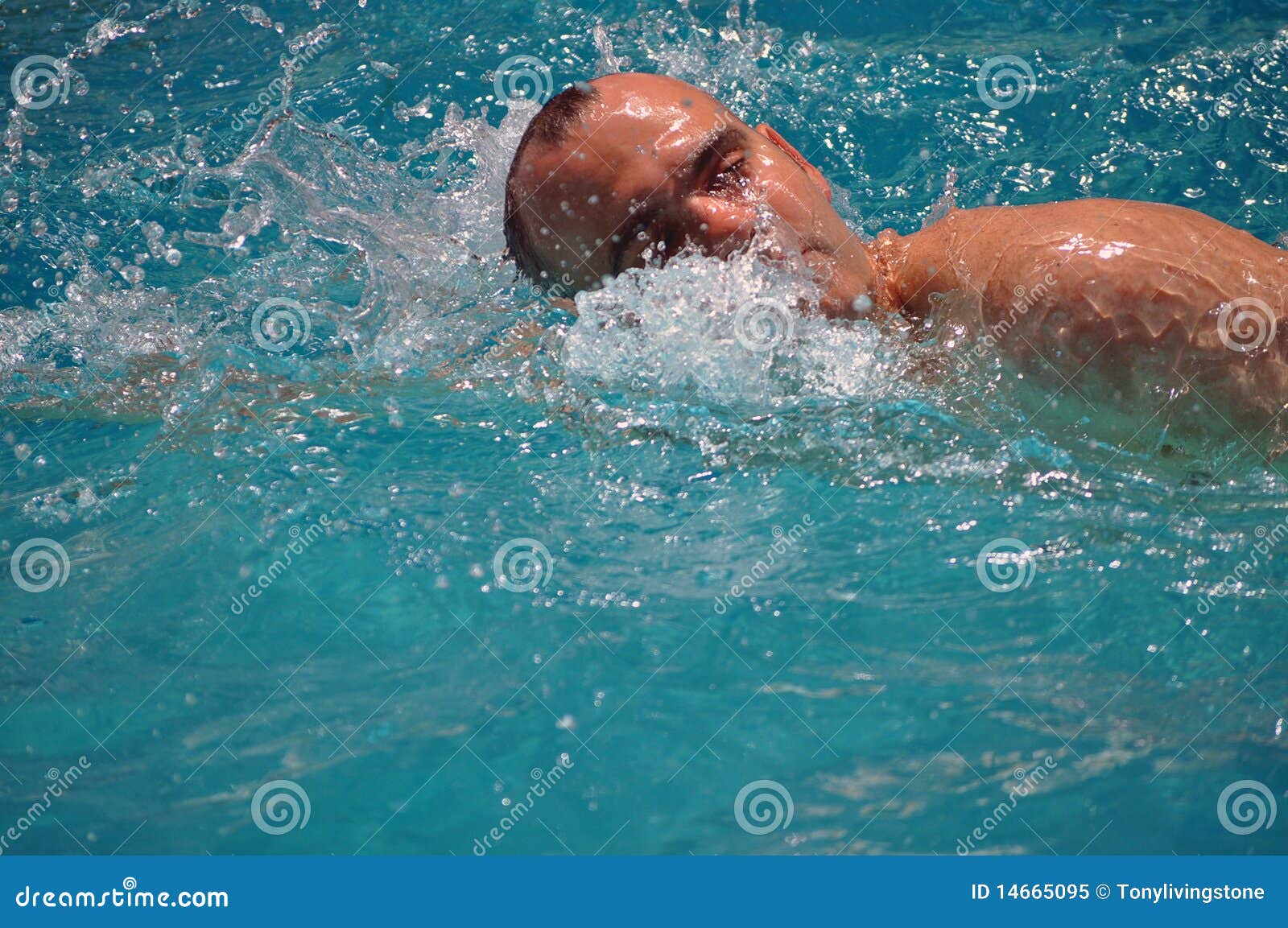 Swimming stock image. Image of swimming, vacation, pool - 14665095
