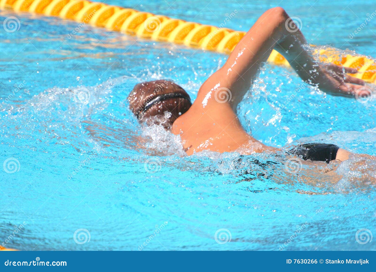 Swimming stock photo. Image of sport, wellness, sportman - 7630266