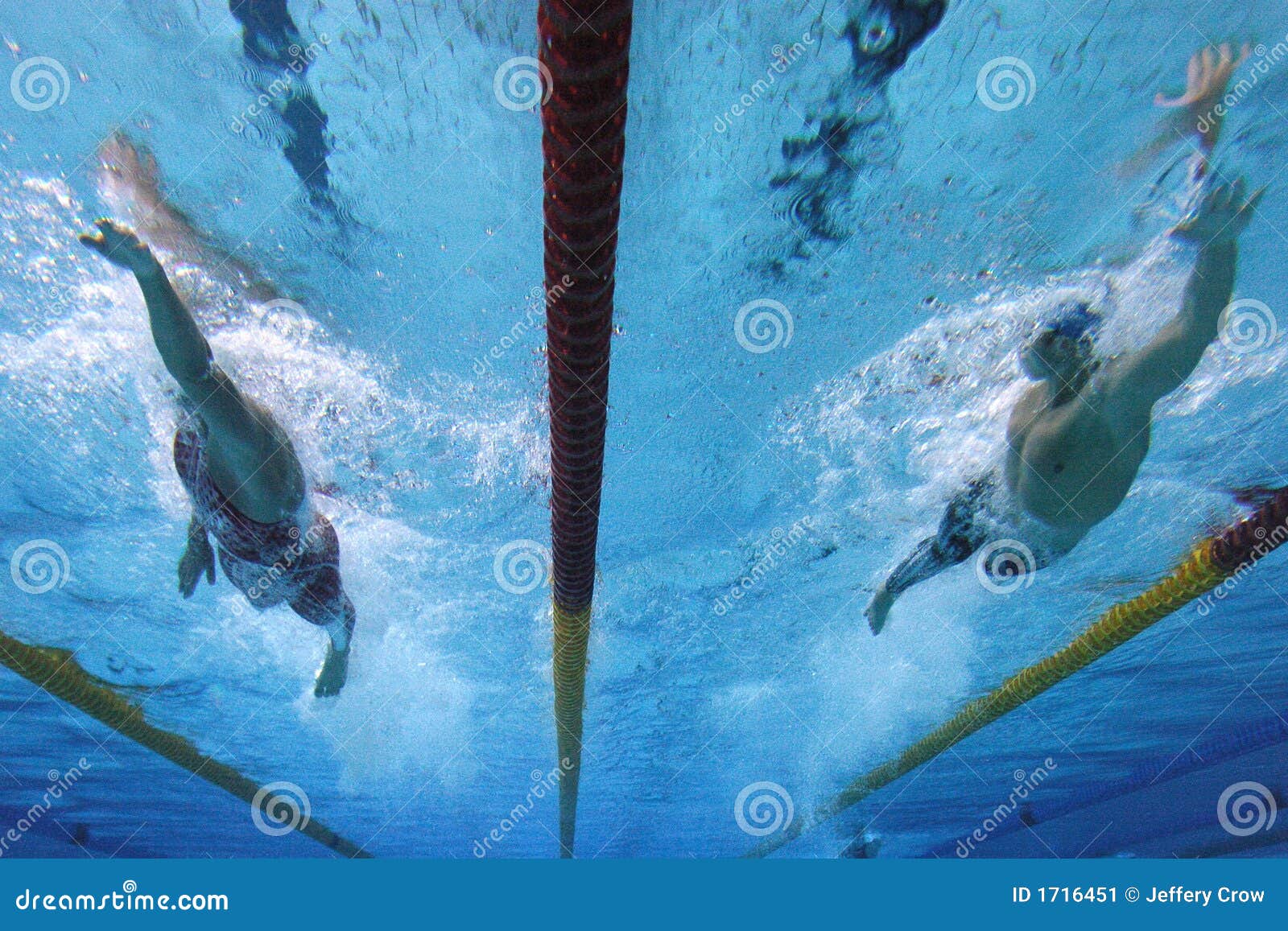 Swimming action 1 stock image. Image of race, sport, lane - 1716451