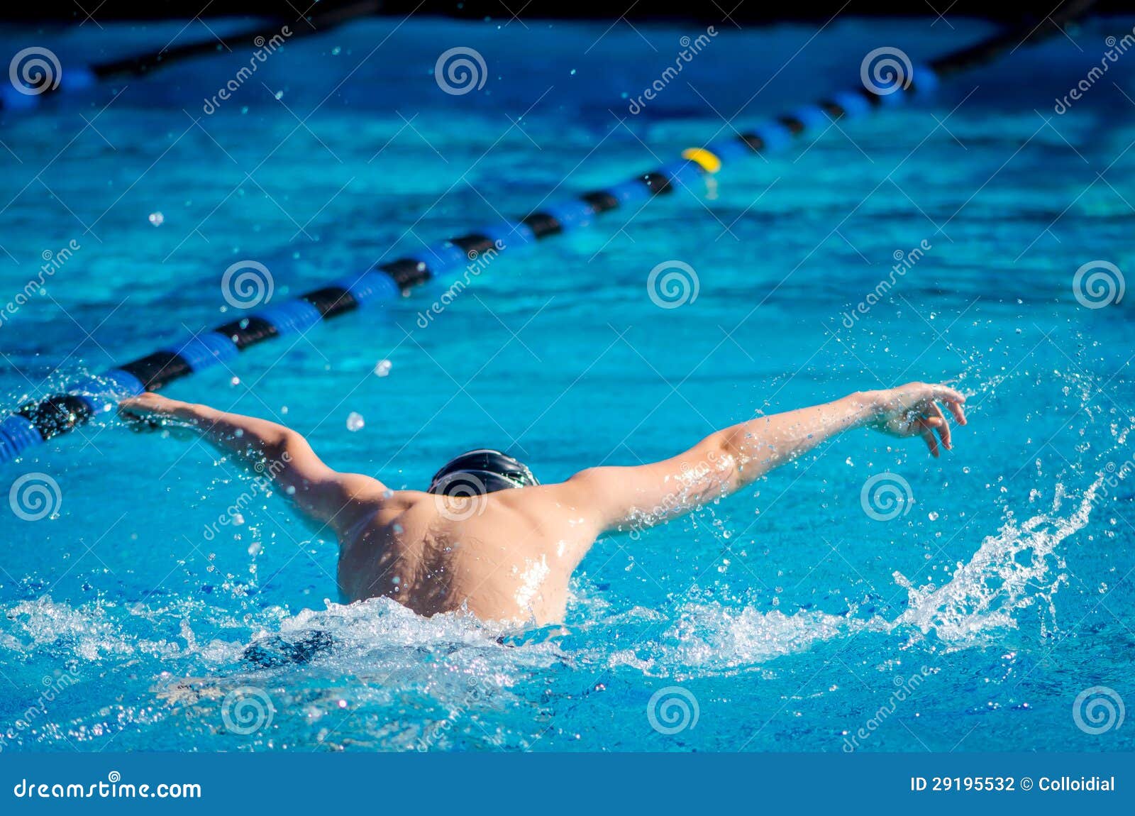 Swimming Butterfly stock photo. Image of teenager, racing - 29195532
