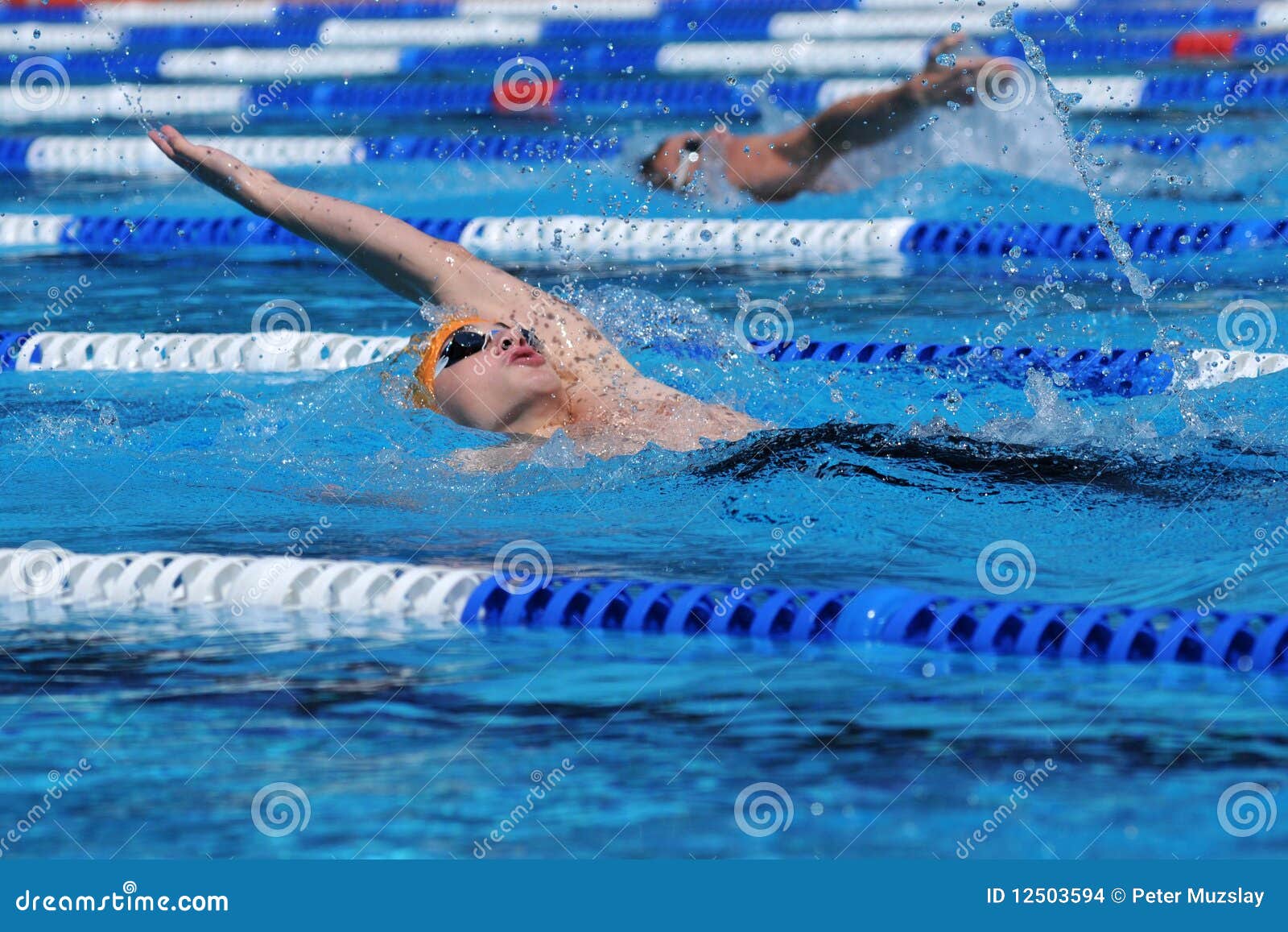 Swimming competition editorial stock image. Image of champion - 12503594