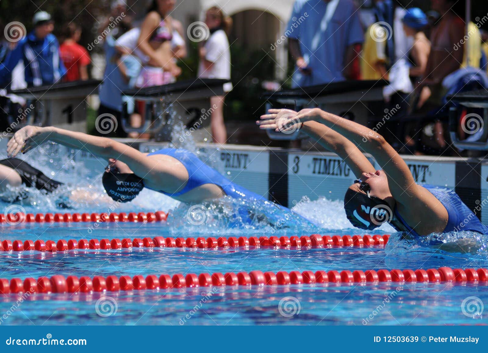 Swimming competition editorial stock image. Image of style - 12503639