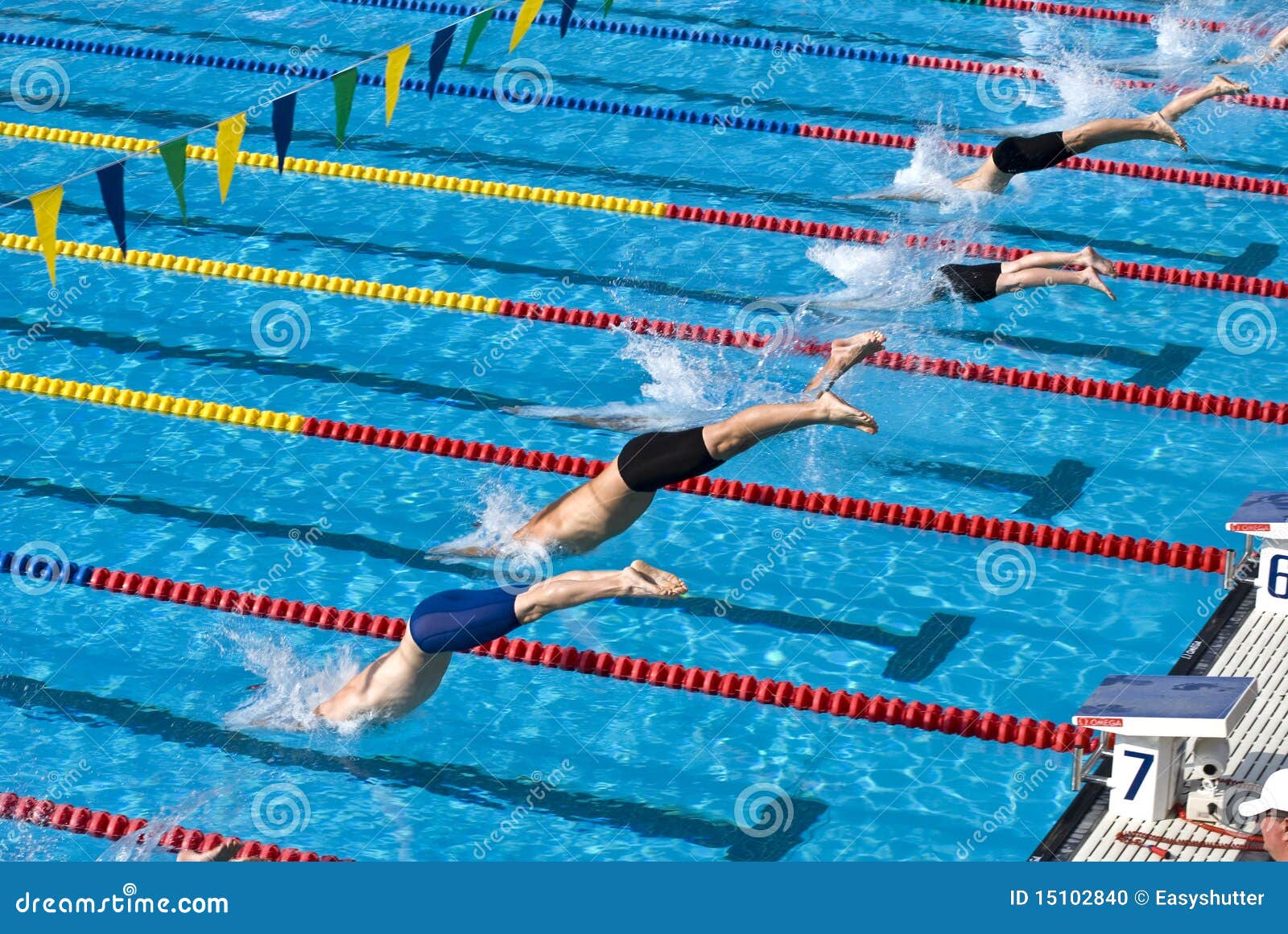 Swimming competition stock photo. Image of athletic, swimming - 15102840