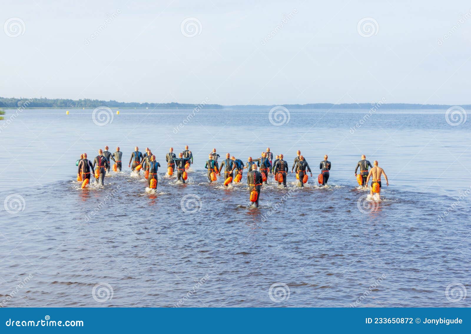 Swimming Competition on a Lake Editorial Photography - Image of nature ...