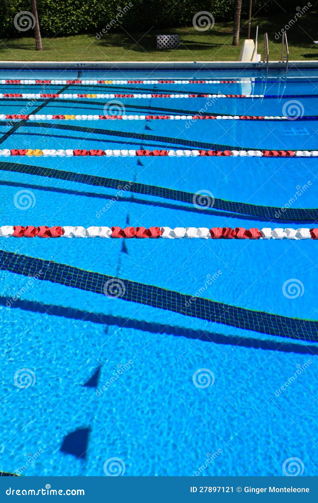Swimming competition Pool stock image. Image of bright - 27897121