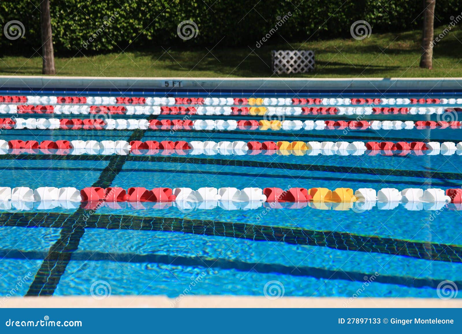 Swimming competition Pool stock image. Image of race - 27897133