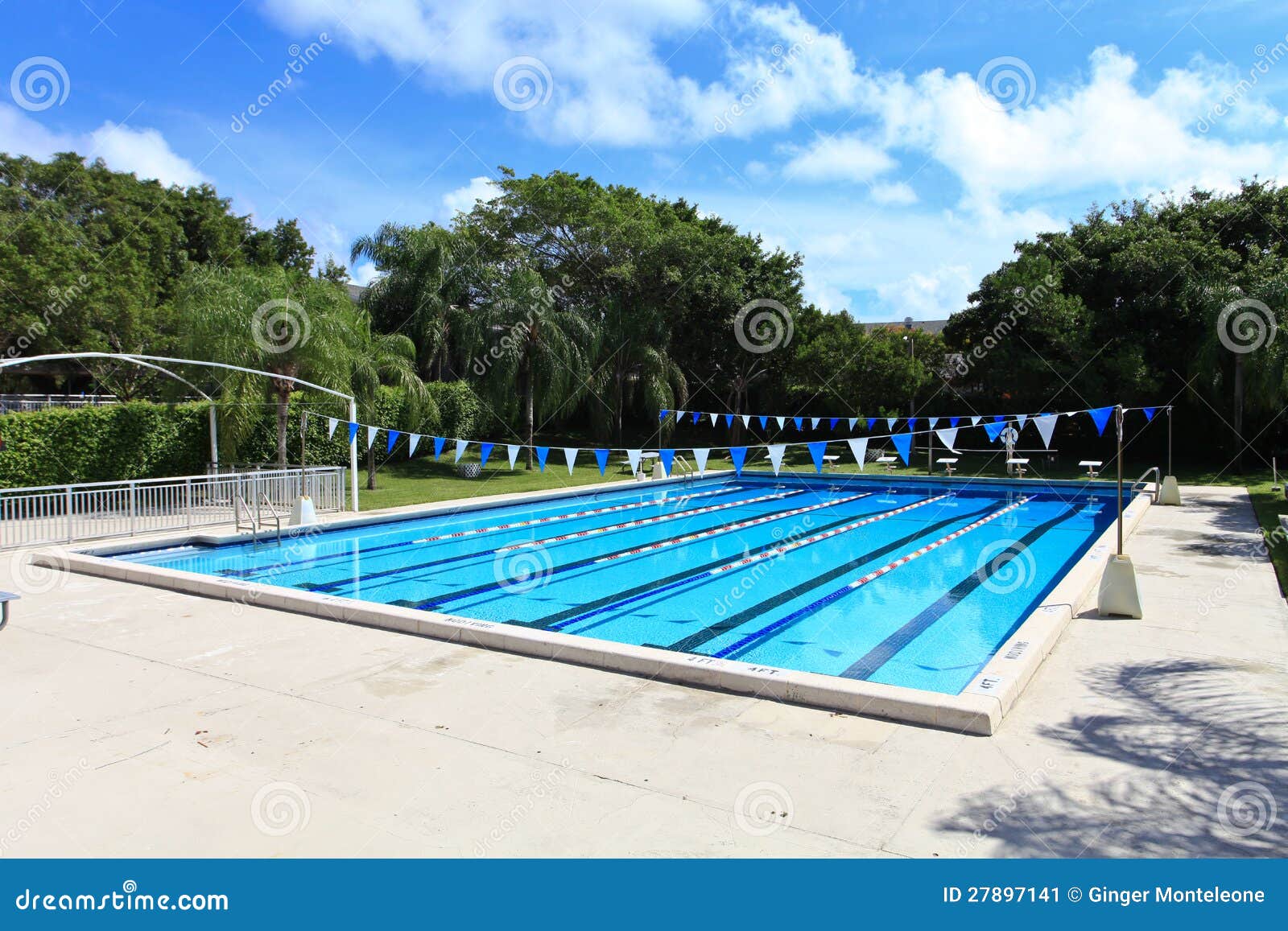 Swimming competition Pool stock image. Image of bright - 27897141