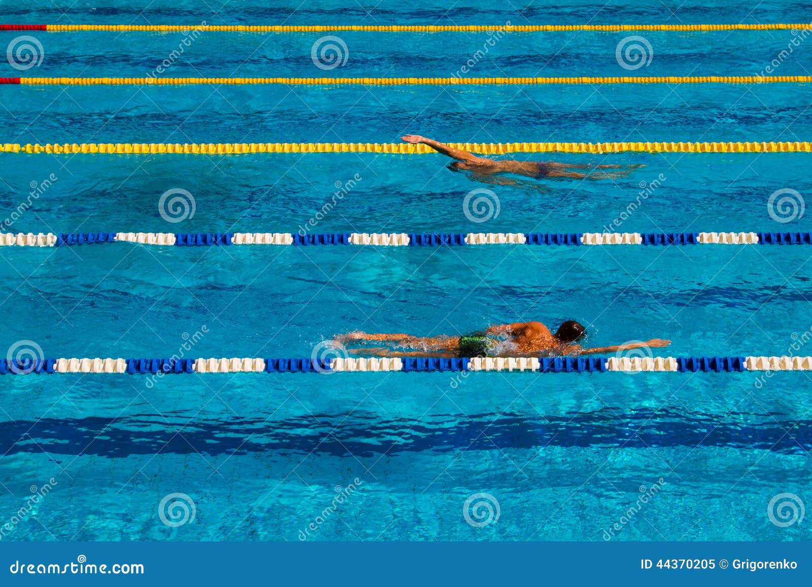 Swimming competition stock image. Image of exercising - 44370205