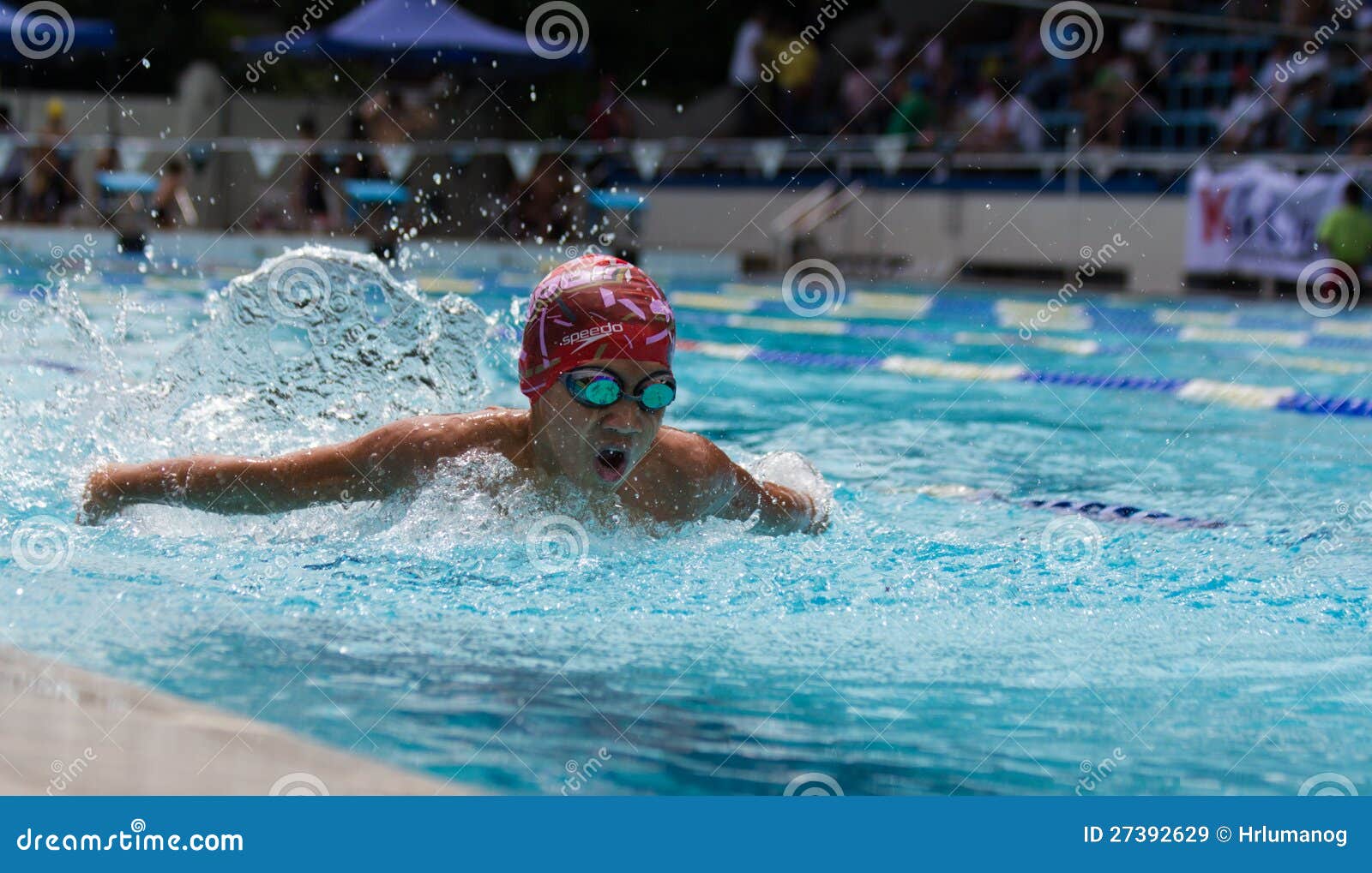 Swimming contest editorial stock image. Image of blue - 27392629