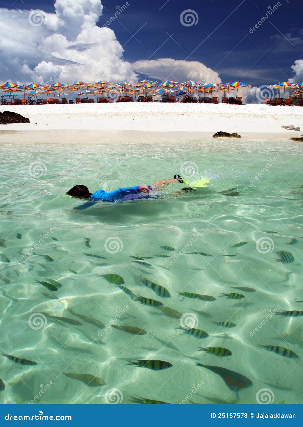 Swimming with the fishes stock photo. Image of andaman - 25157578
